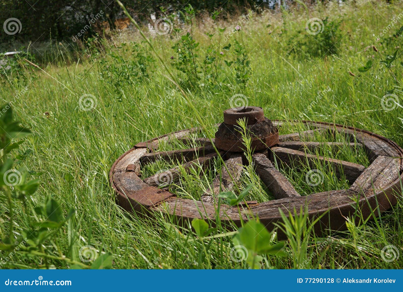 Wooden Wheel on a Background of Green Grass Stock Photo - Image of barn ...