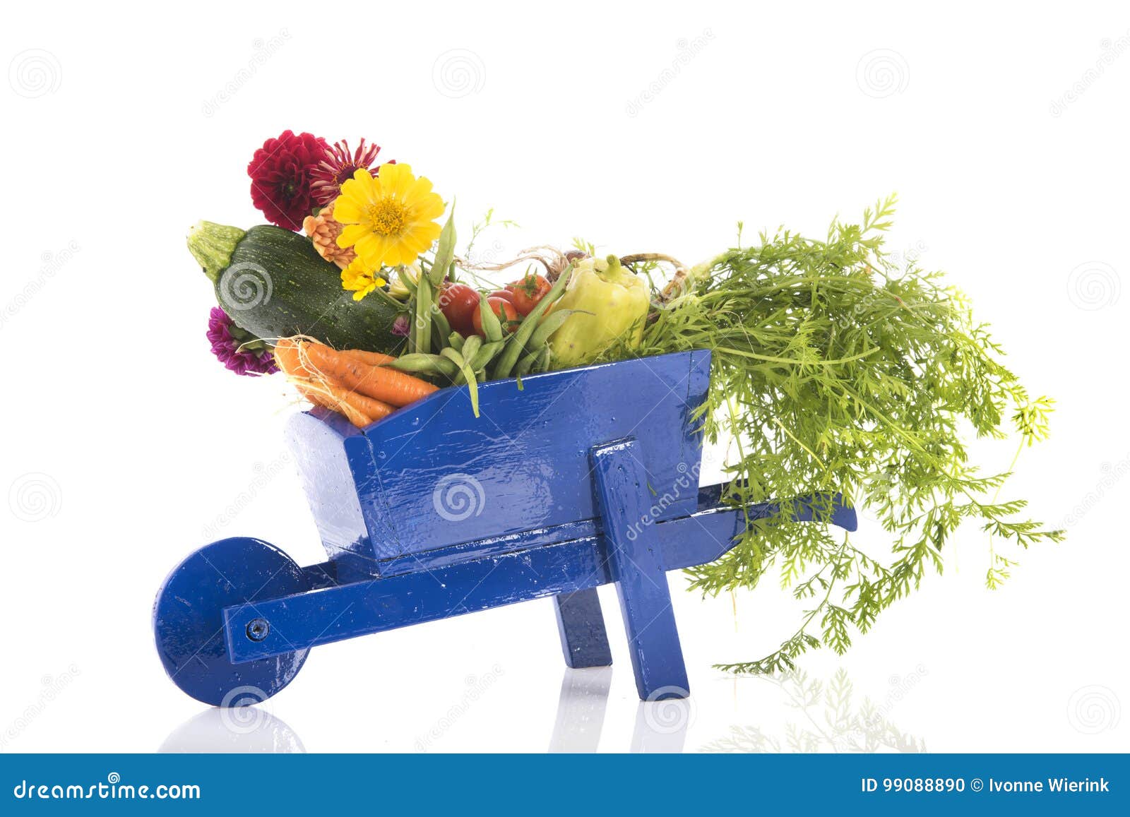 Wooden Wheel Barrow with Vegetables Stock Photo - Image of beans ...