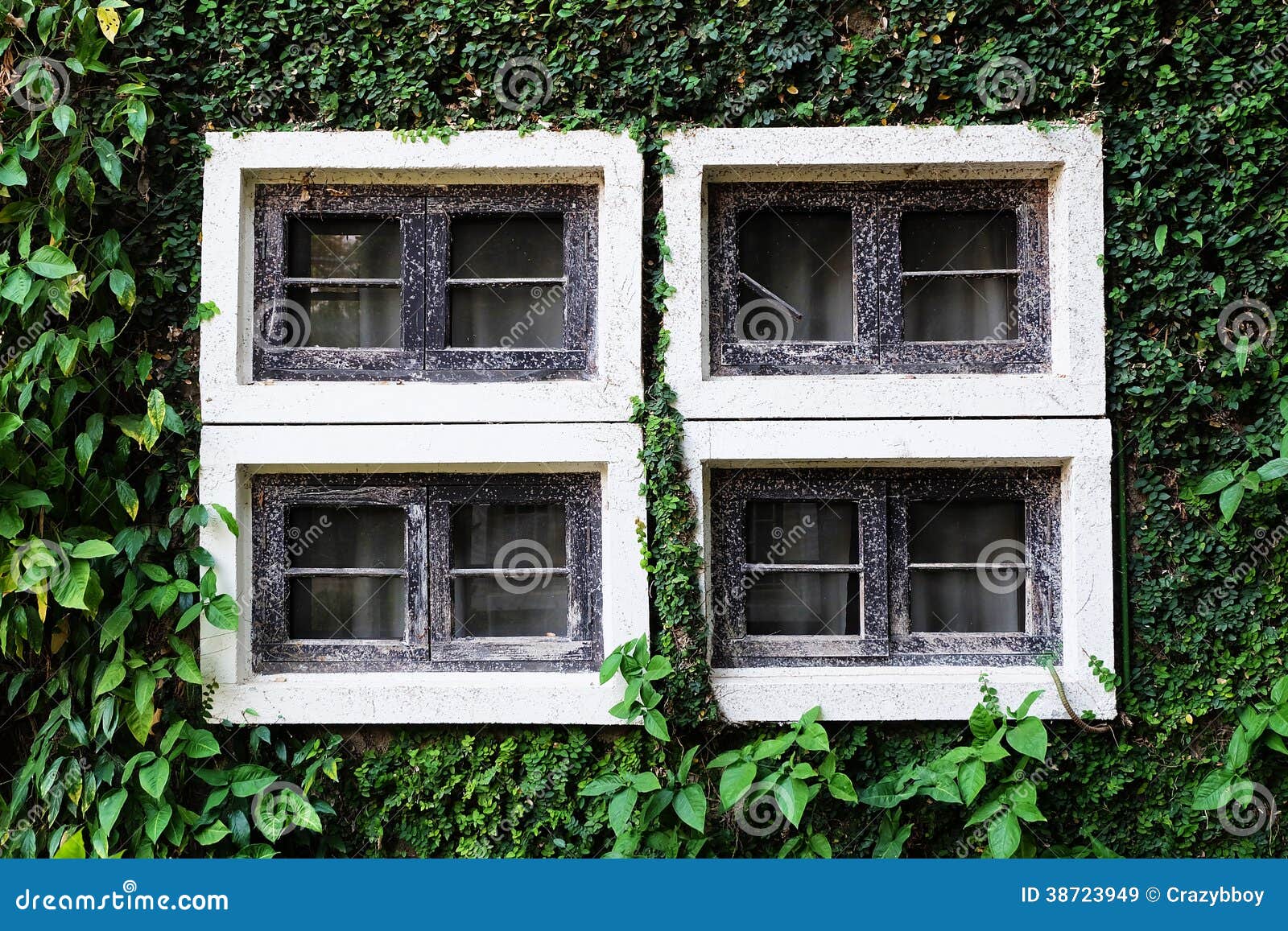 Wooden Window on the Green Wall Stock Image - Image of green, grow ...