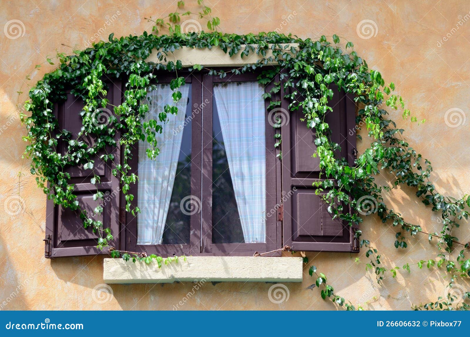 Wooden window with ivy stock photo. Image of country - 26606632