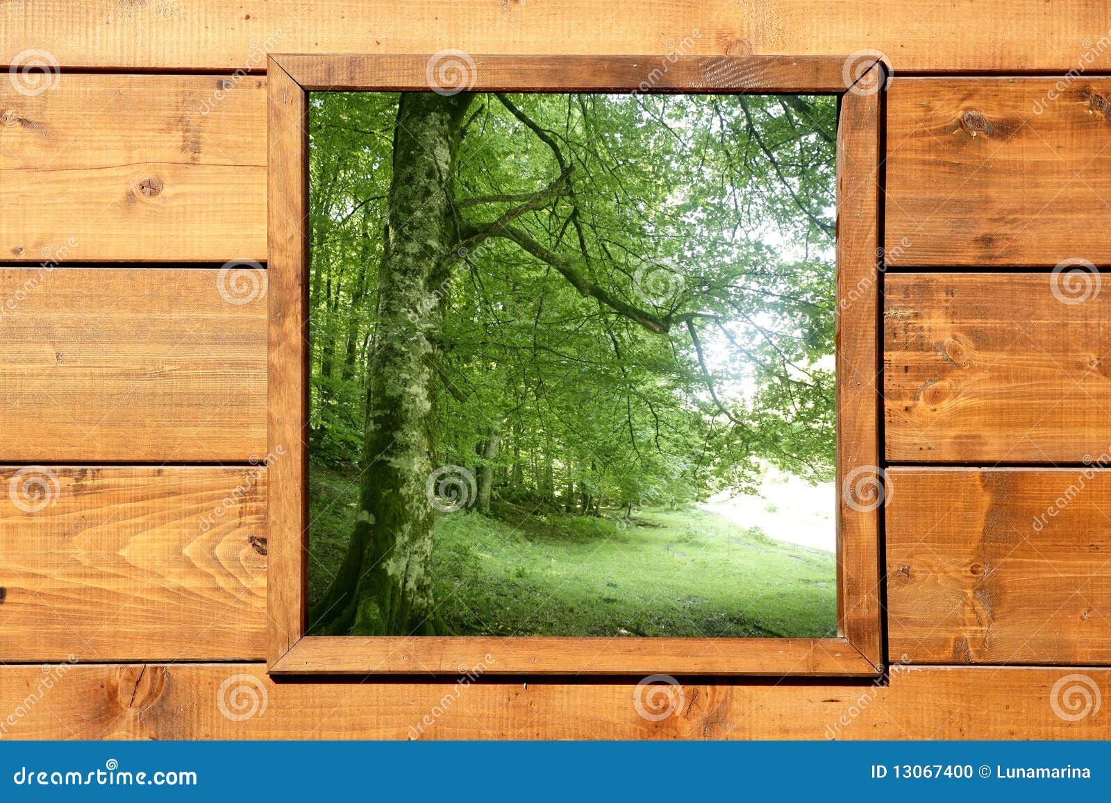 Wooden Window Jungle Green Forest View Stock Photo - Image of forest ...