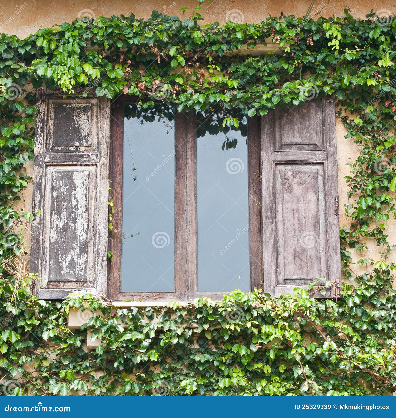 Wooden window with tree stock image. Image of open, pattern - 25329339