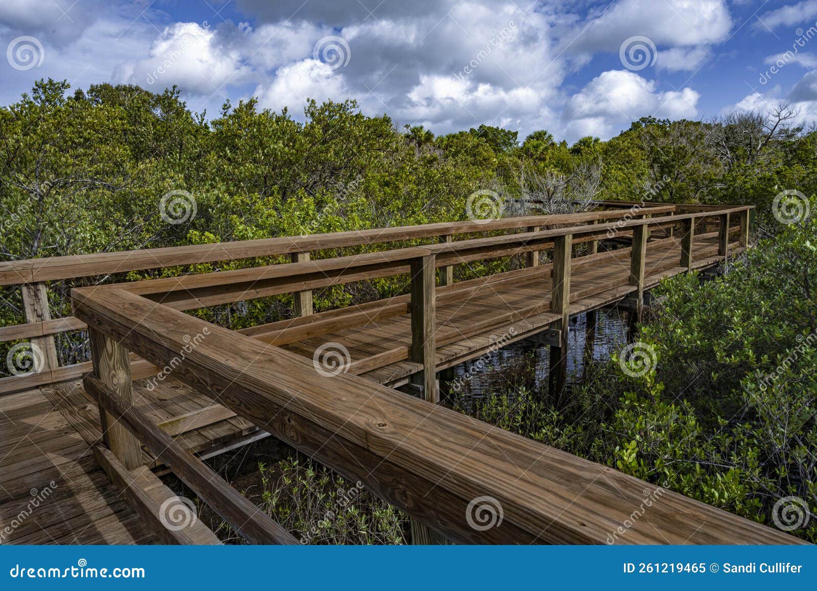Wooden Zig-Zag Bridge Over a Florida Lagoon Stock Image - Image of ...