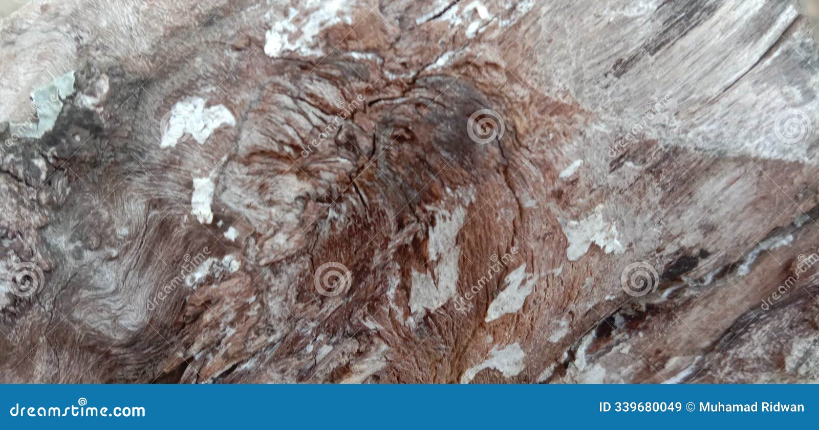 Woodgrain Pattern in Black and Ash and White Checkers Stock Image ...