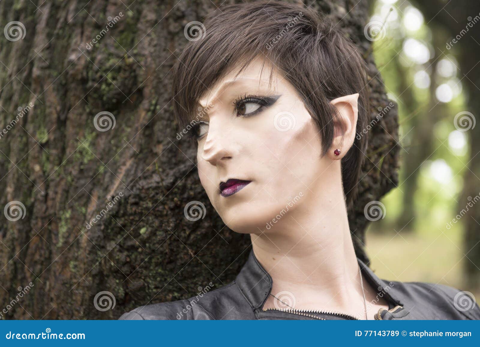 Woodland nymph in a forest stock image. Image of woodland - 77143789