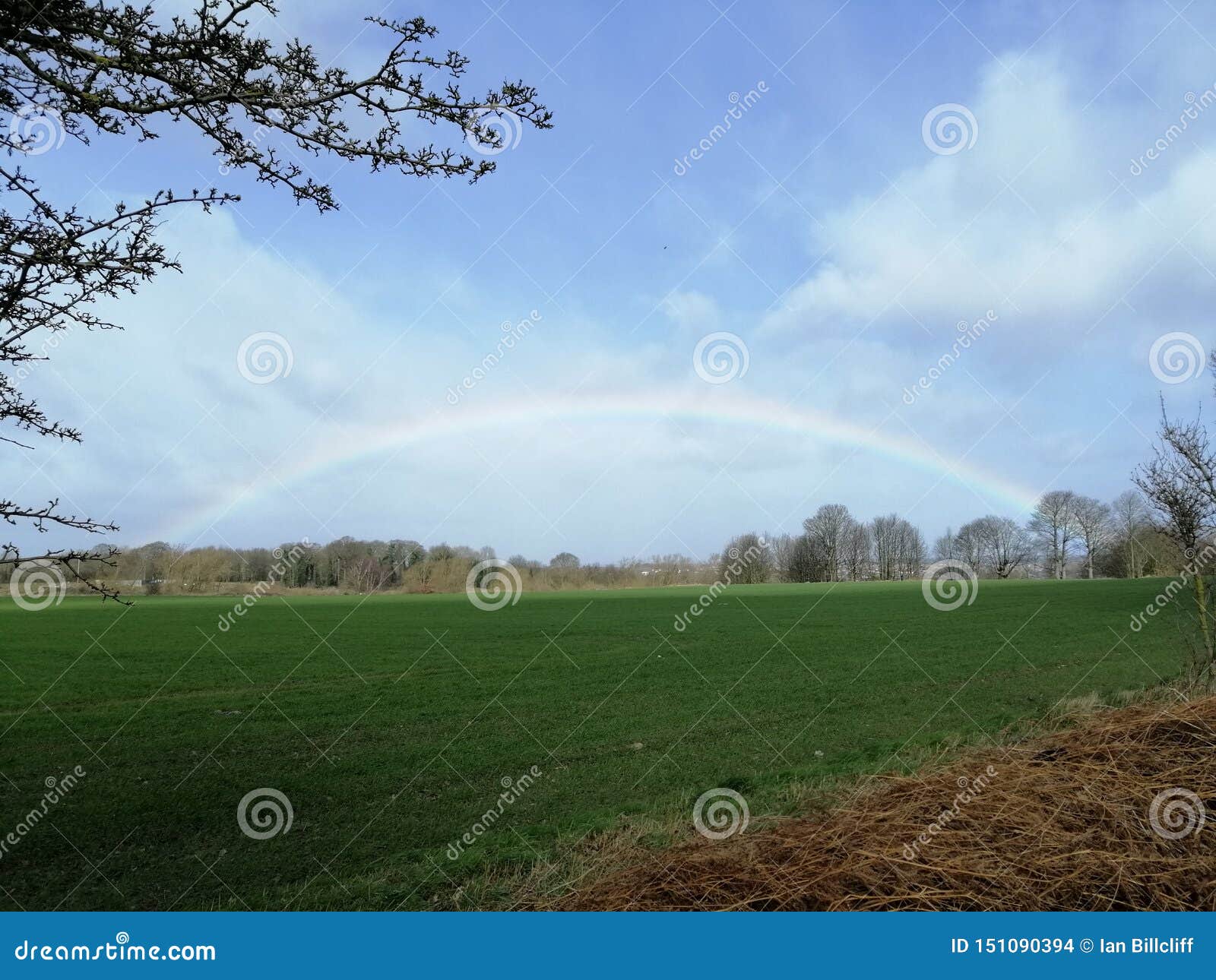 Woodland Rainbow stock photo. Image of grassland, field - 151090394