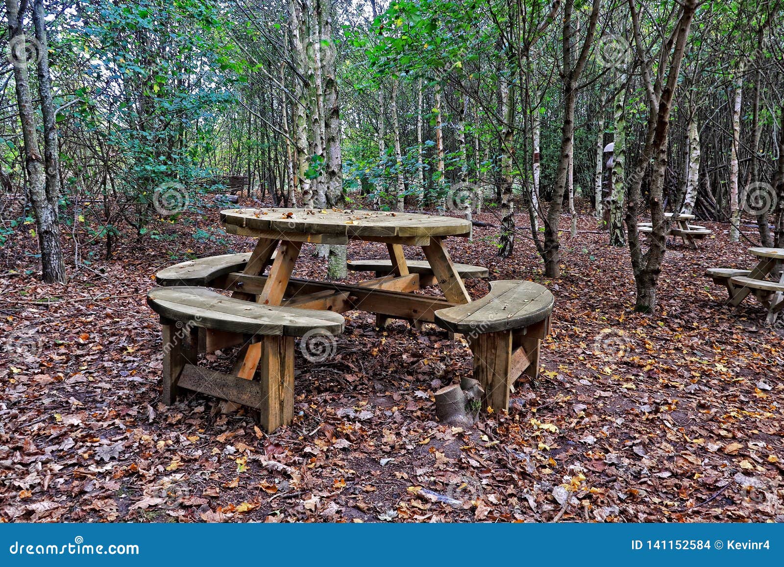 A Woodland Scene Featuring a Table and Chairs Stock Photo - Image of ...