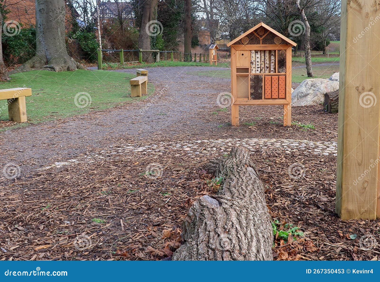 Woodland Scene with an Insect House and Tree Trunks Stock Image - Image ...