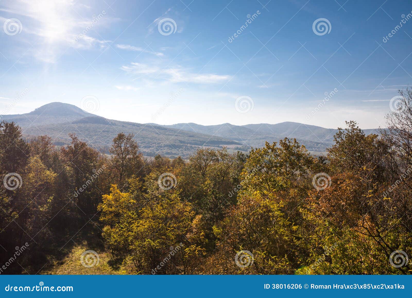 Woodland scenery stock photo. Image of autumn, panorama - 38016206