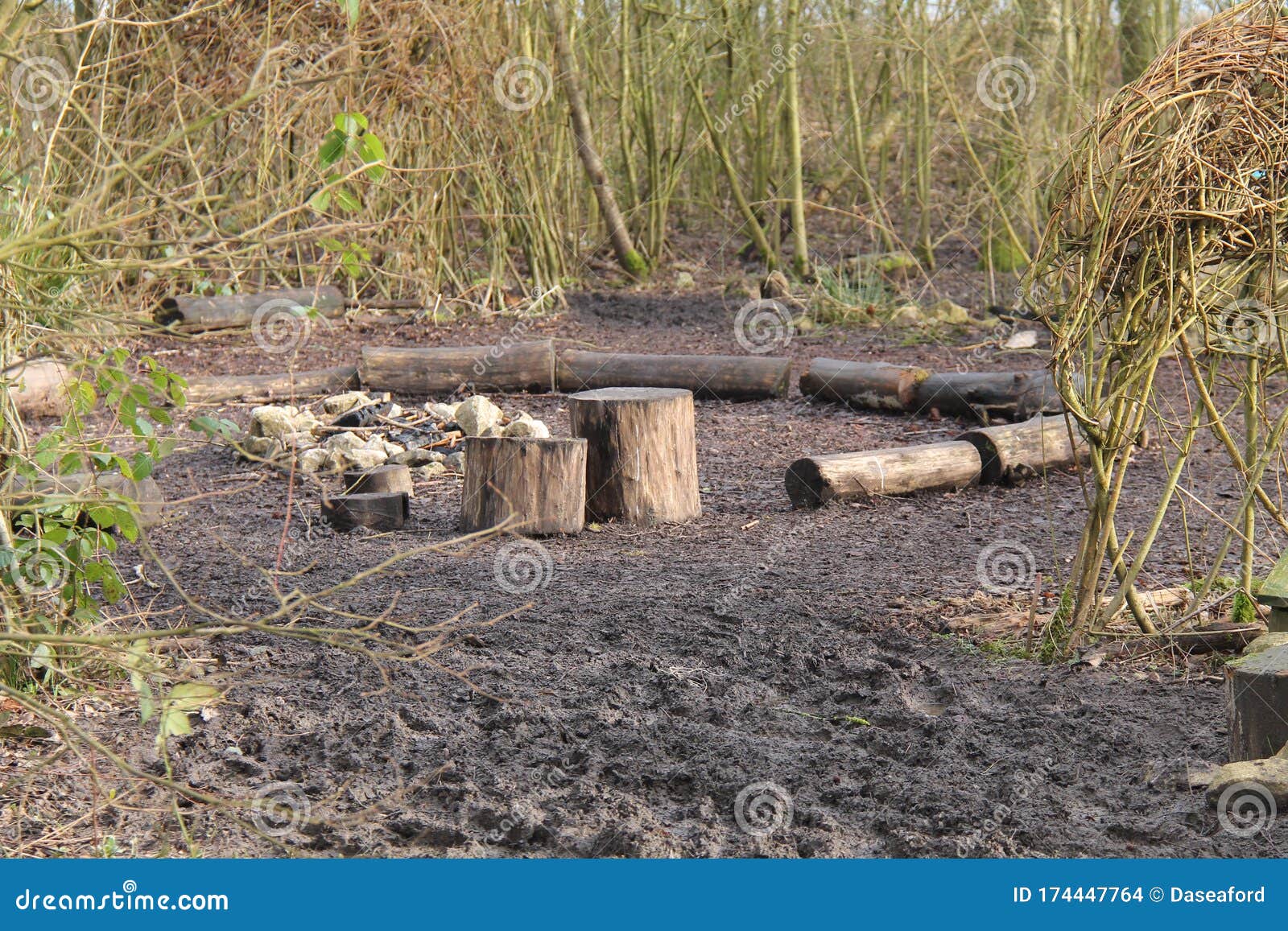 Bonfire Circle Site. stock photo. Image of seats, woodland - 174447764
