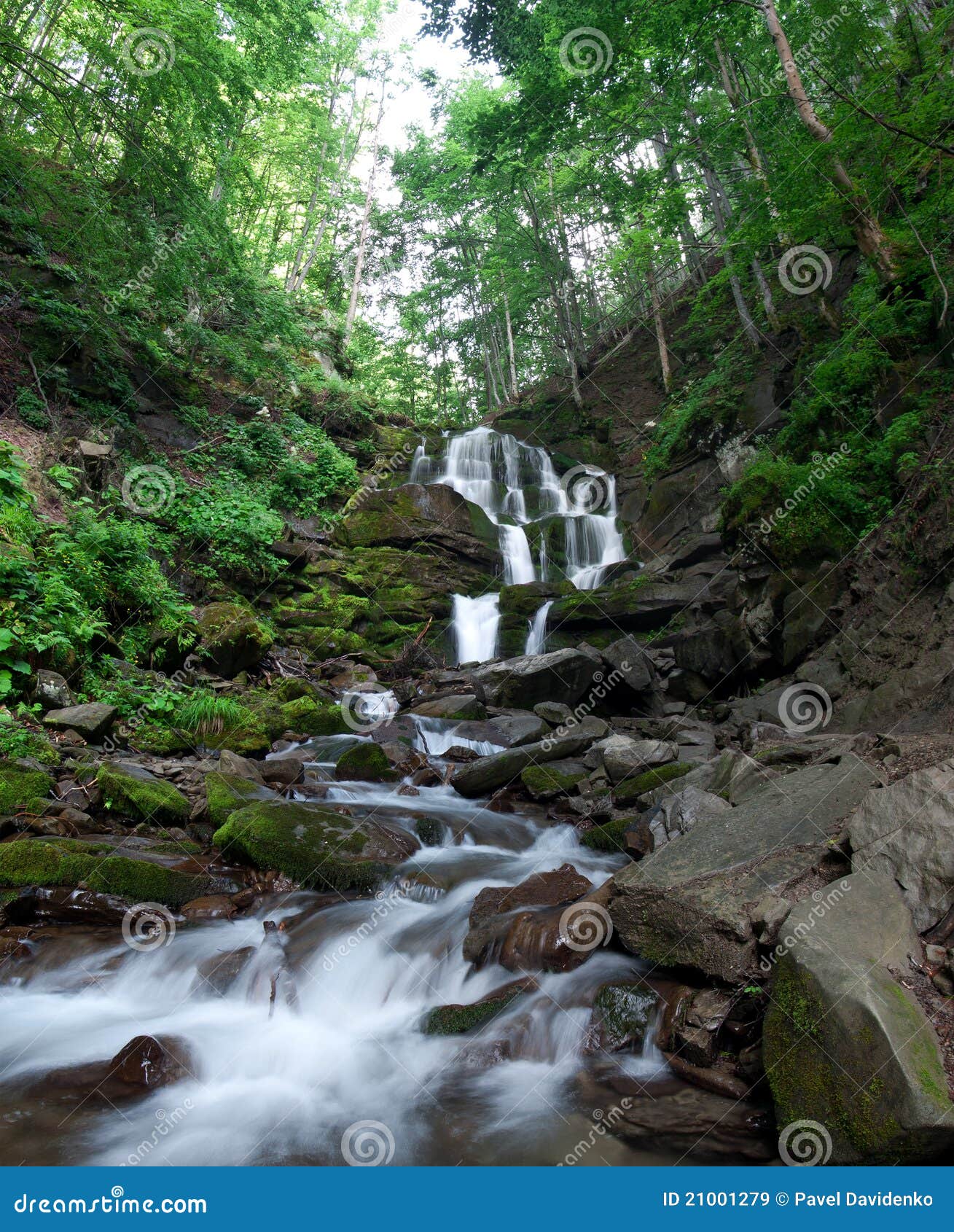 Woodland Stream. stock image. Image of rapid, northern - 21001279