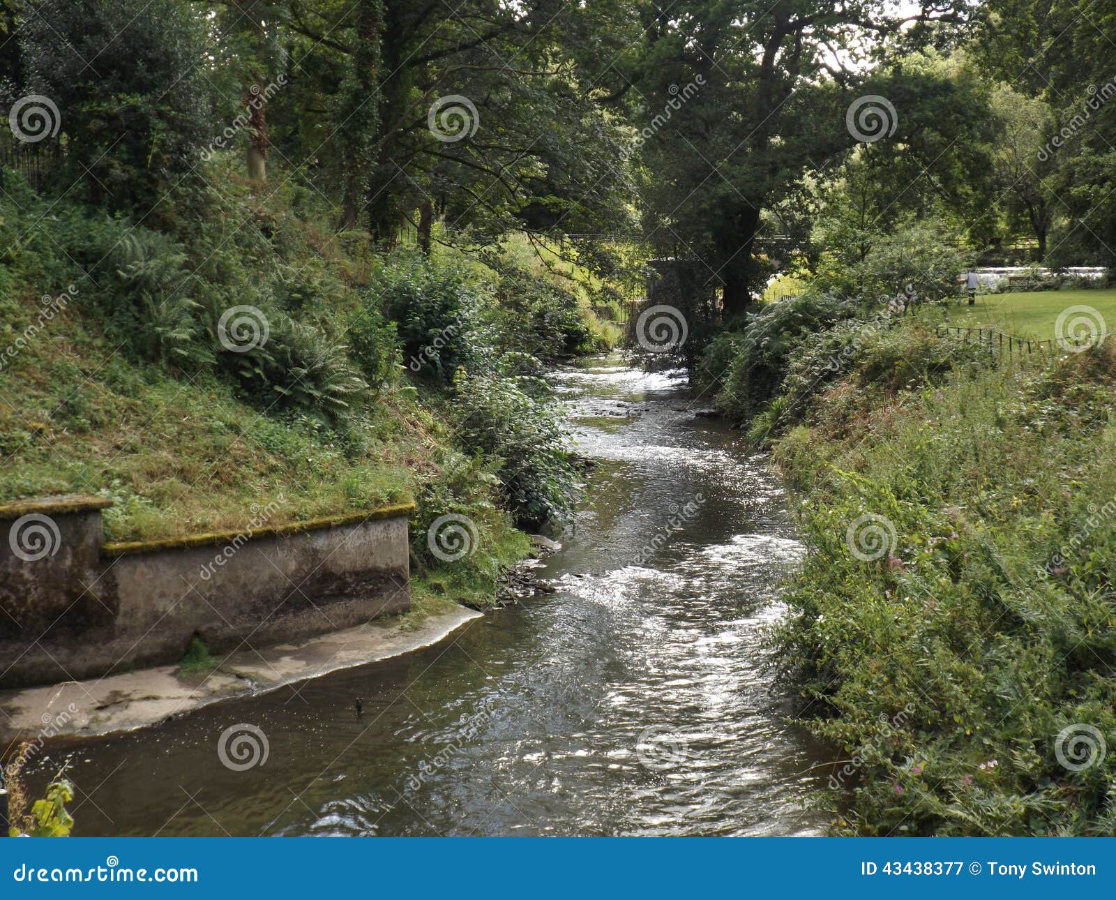 Woodland stream stock image. Image of gardens, green - 43438377