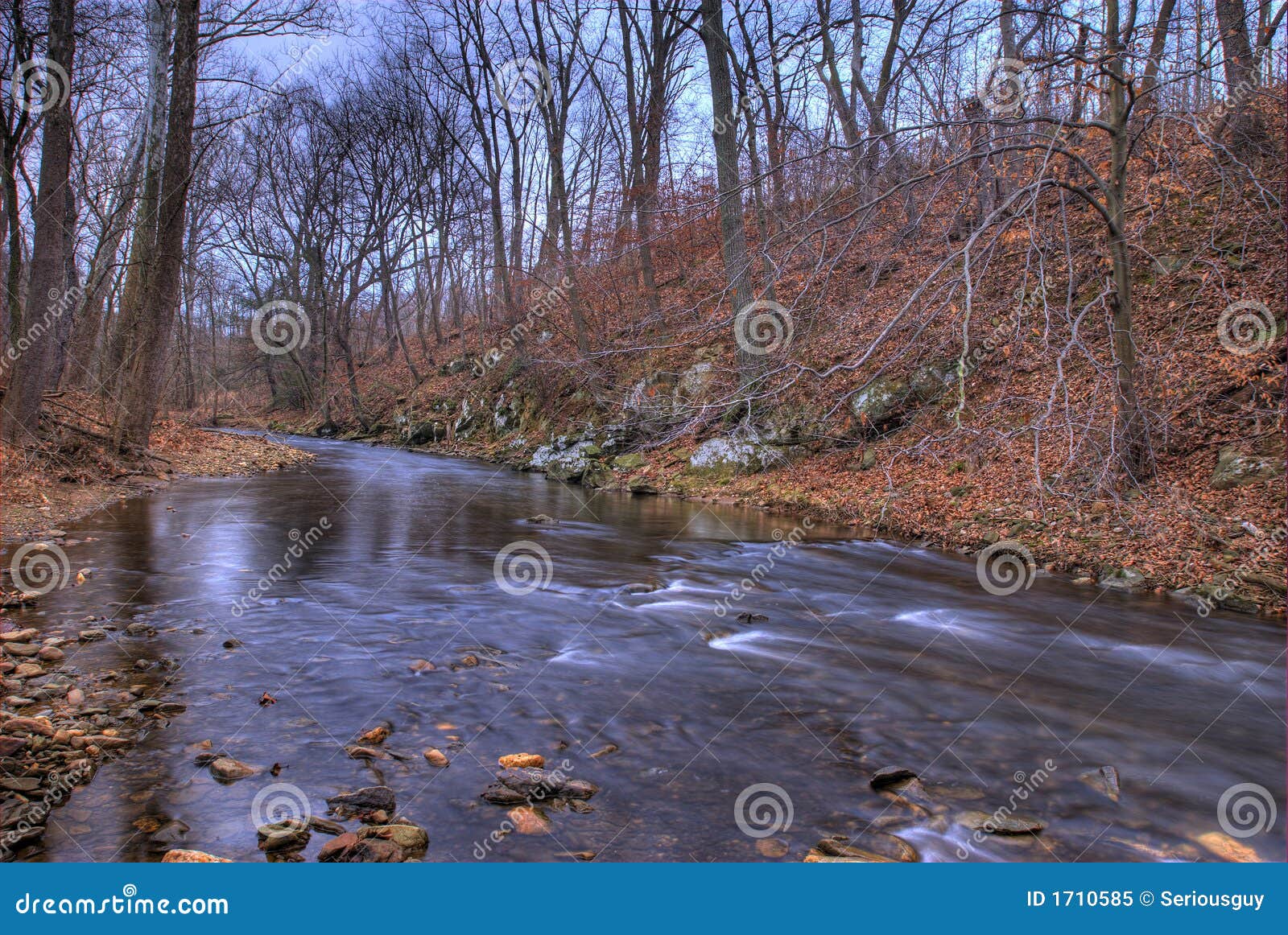 Woodland Stream in Winter stock image. Image of water - 1710585