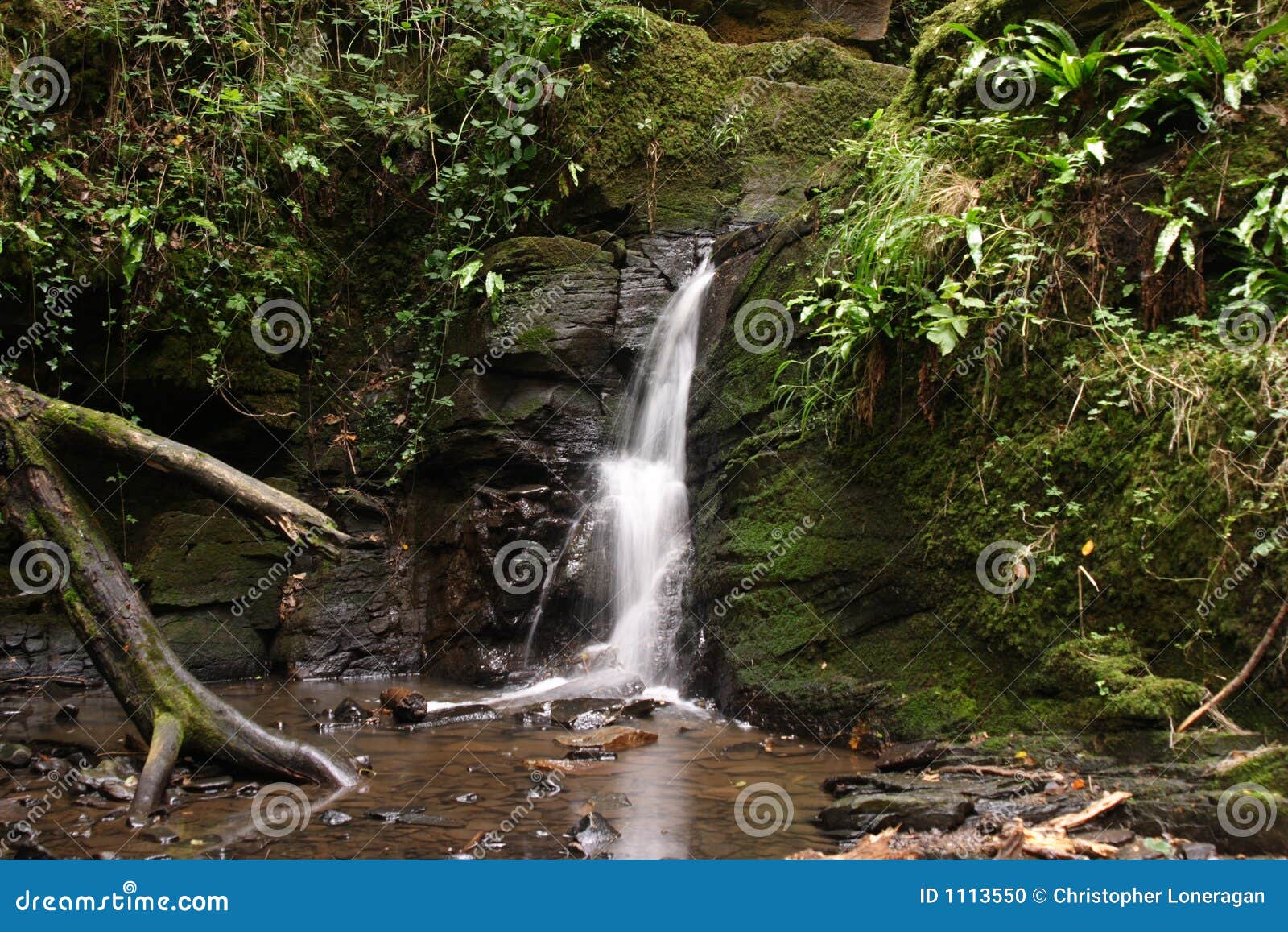 Woodland Waterfall stock photo. Image of woodland, cascade - 1113550