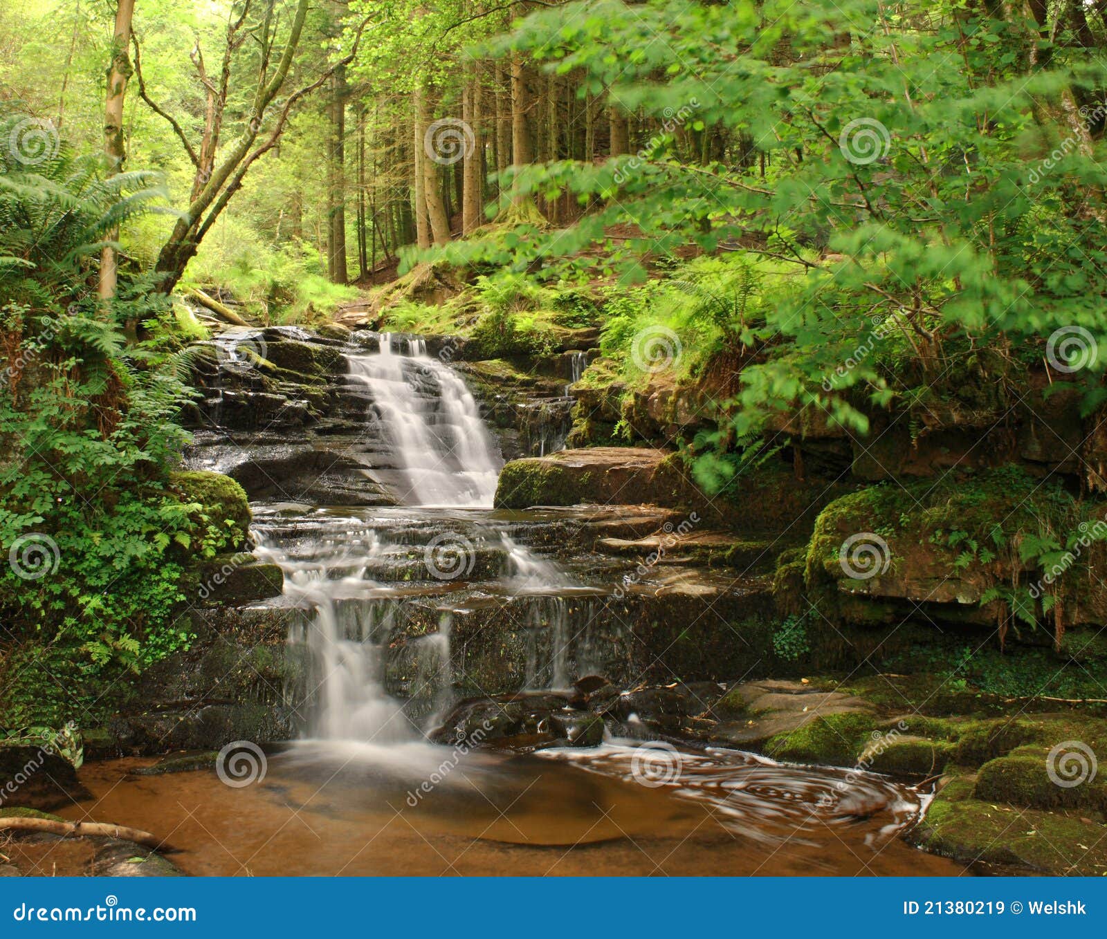 Woodland Waterfall Royalty-Free Stock Photography | CartoonDealer.com ...