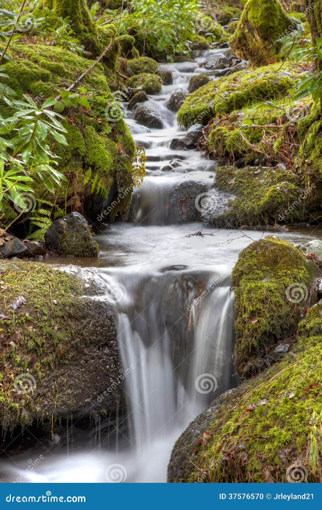 Woodland Waterfall stock photo. Image of stream, brown - 37576570