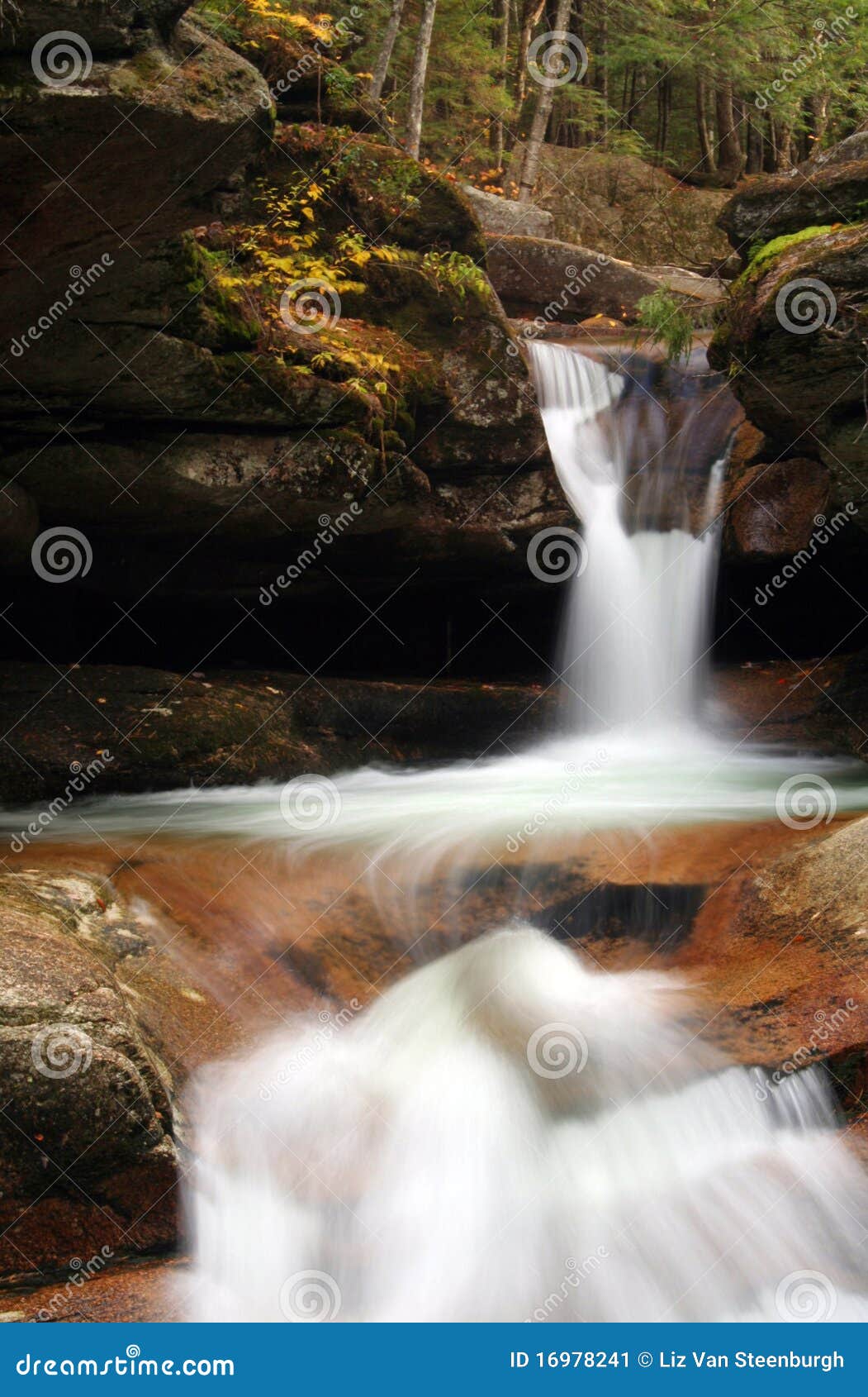 Woodland Waterfalls stock image. Image of landscape, flowing - 16978241