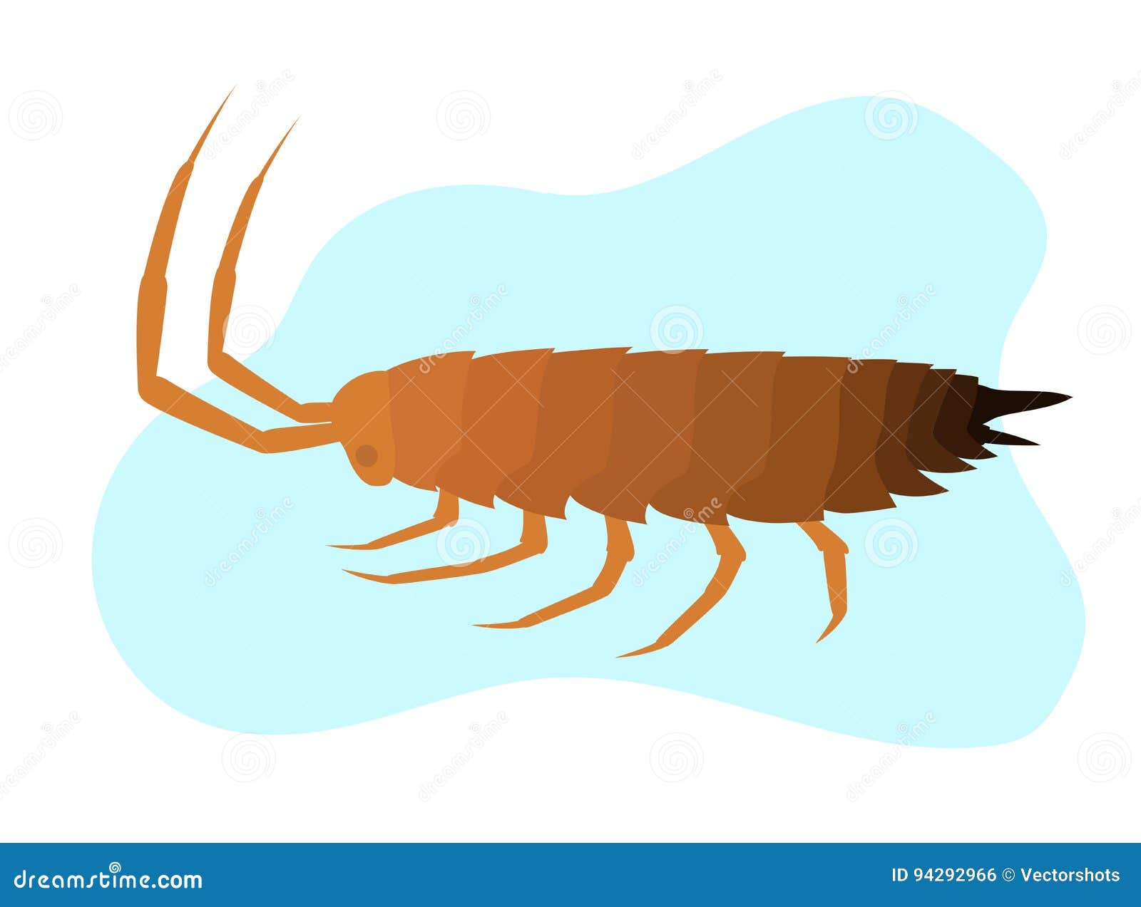 Woodlouse. Vector Illustration In Cartoon Style On A White Background ...
