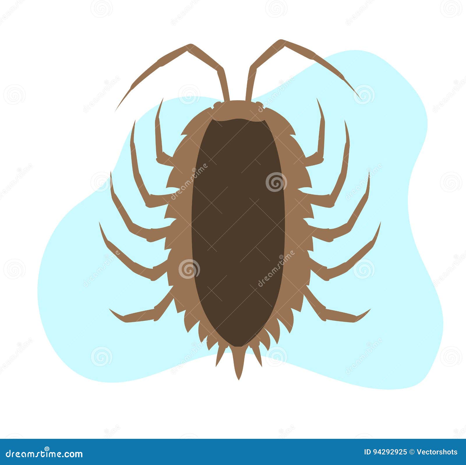 Woodlouse. Vector Illustration In Cartoon Style On A White Background ...