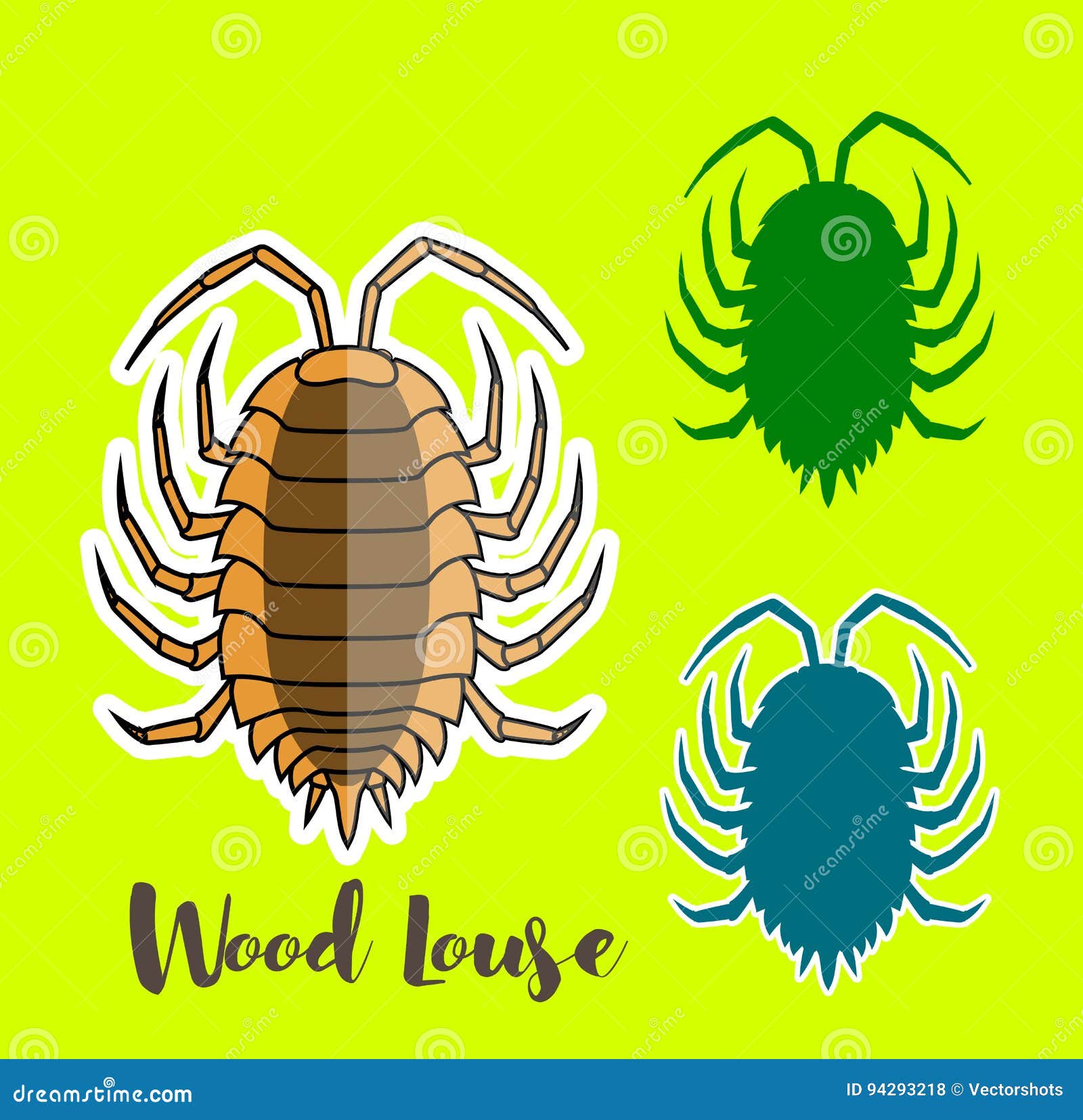Woodlouse. Vector Illustration In Cartoon Style On A White Background ...