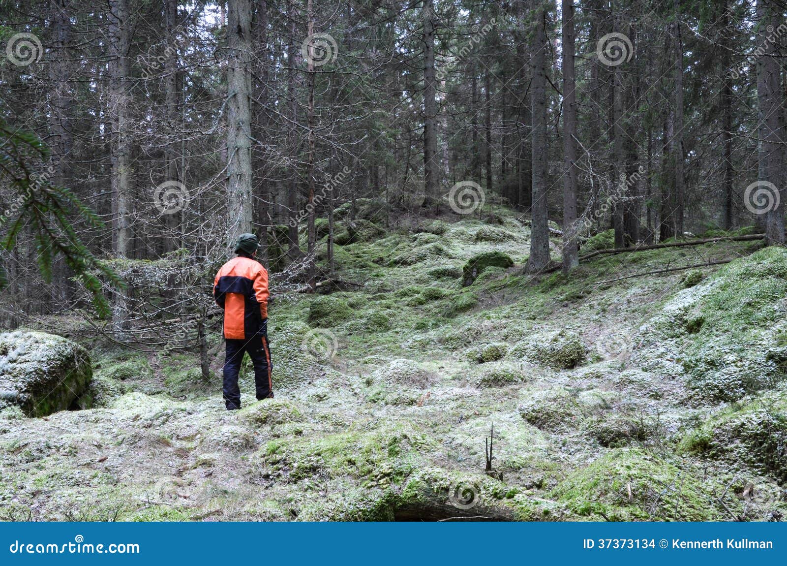 Woodman deep in the forest stock photo. Image of walks - 37373134