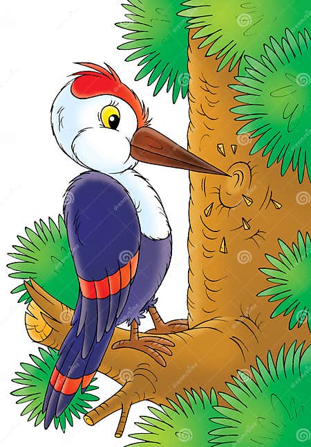 Woodpecker stock illustration. Illustration of cartoon - 2029653