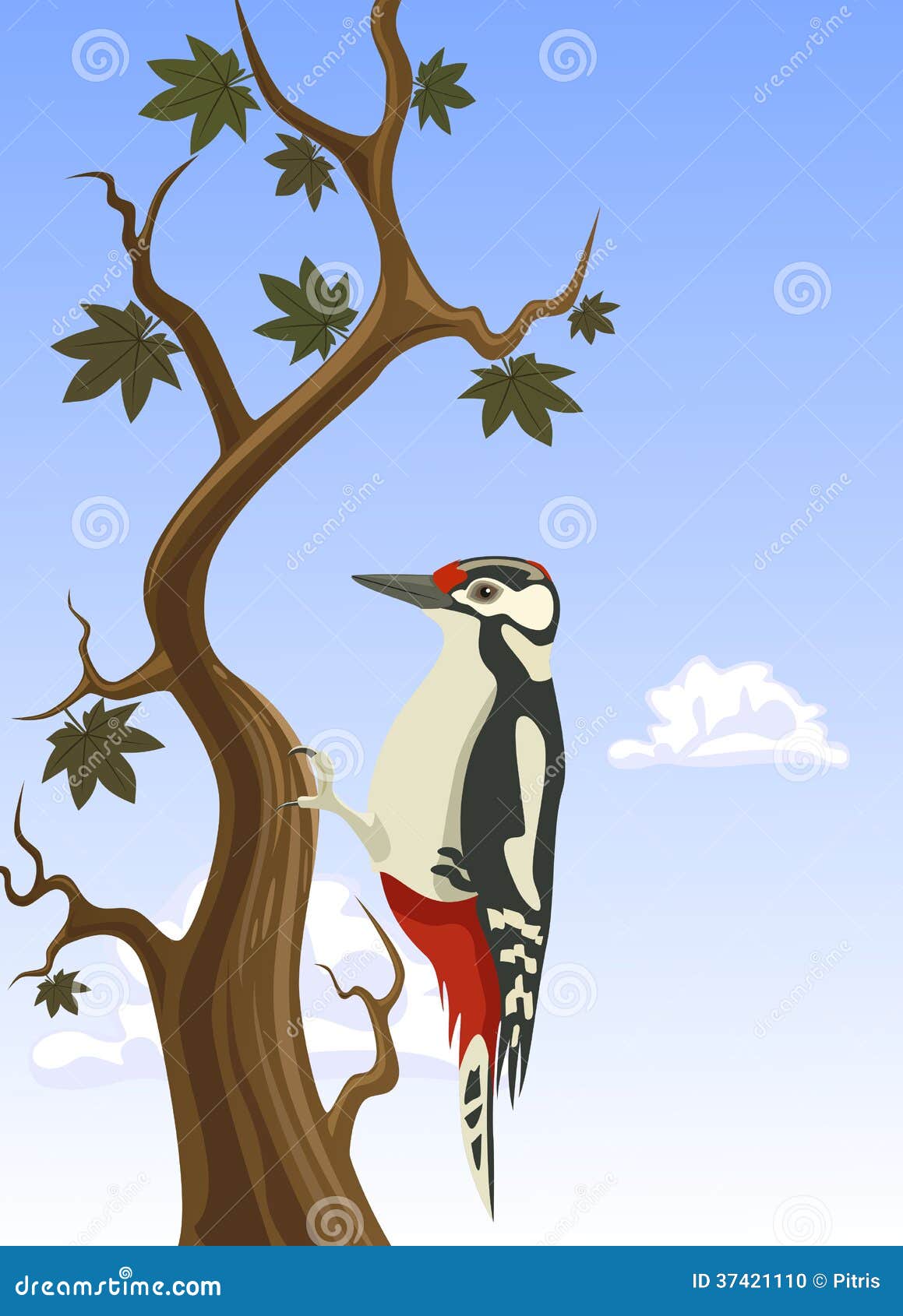 Woodpecker On A Tree Royalty-Free Stock Image | CartoonDealer.com #27535498