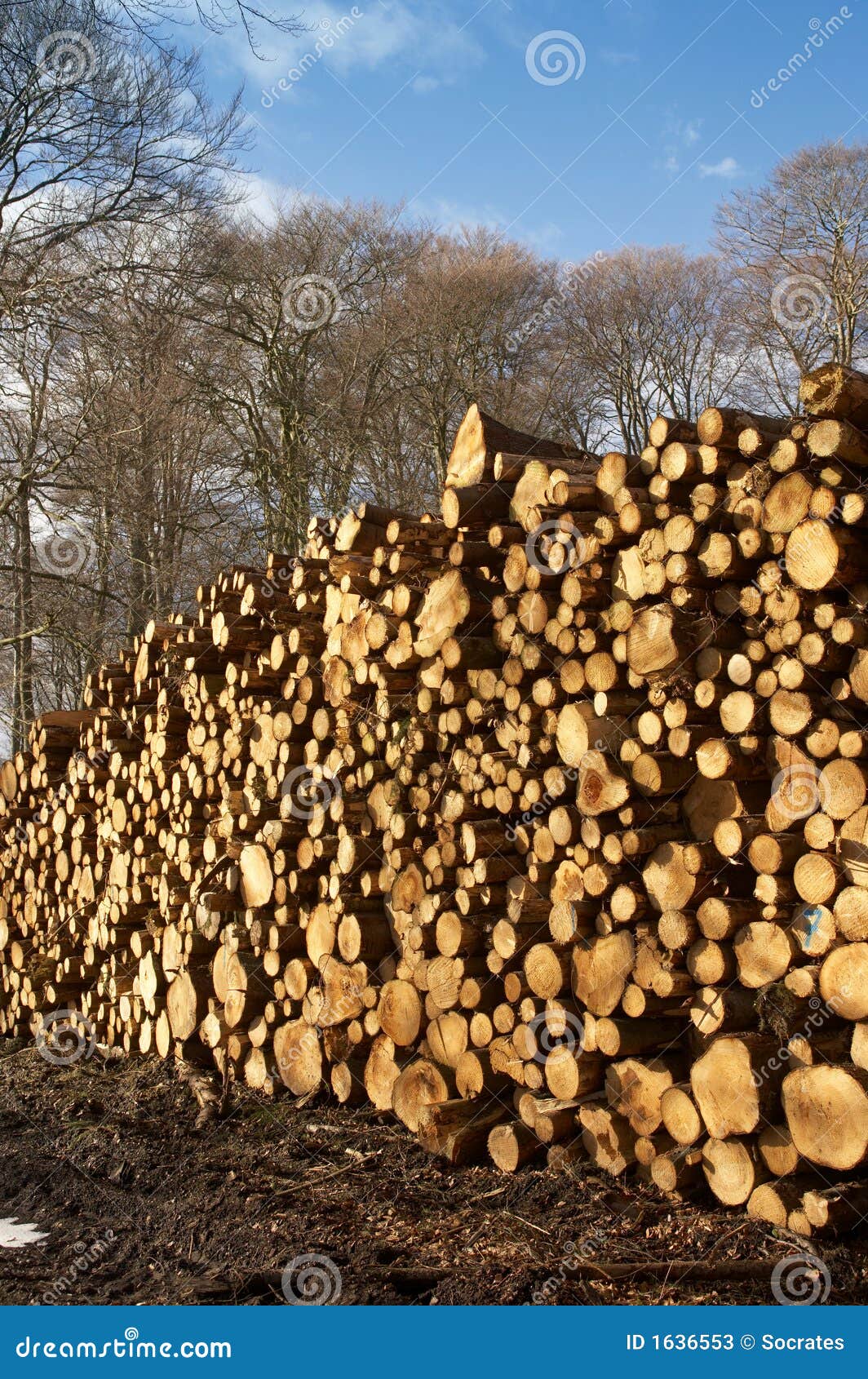 Woodpile stock image. Image of flame, natural, build, countryside - 1636553