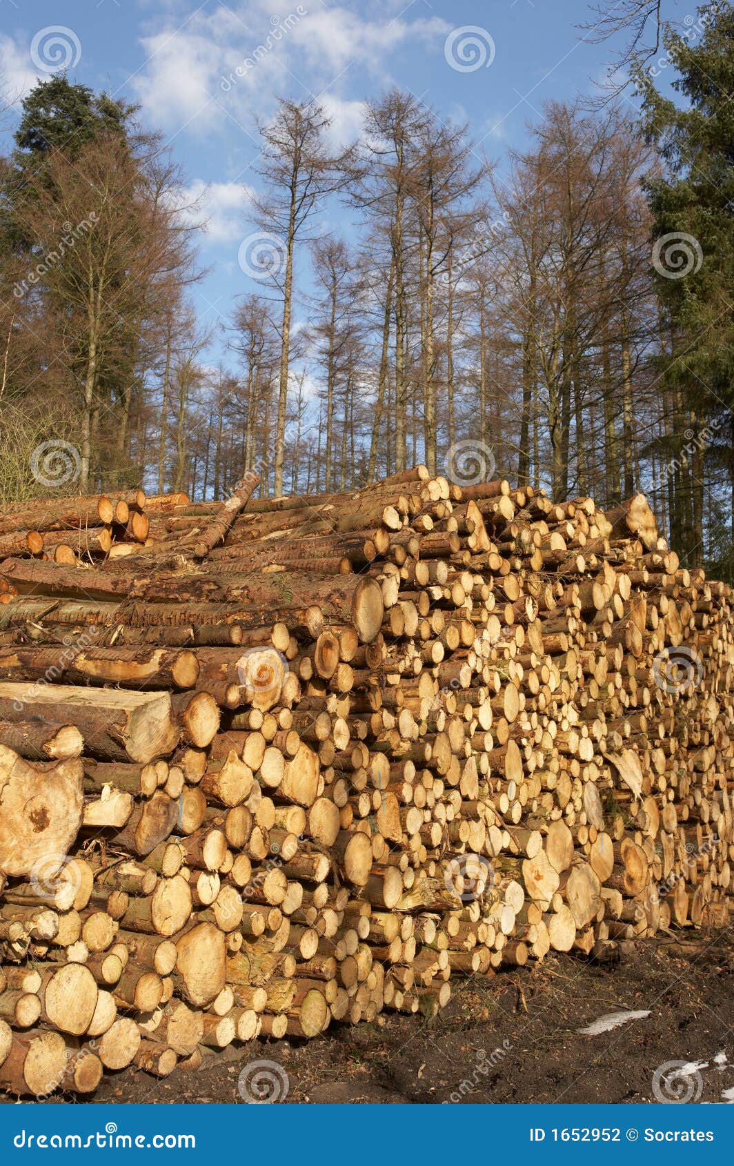 Woodpile stock photo. Image of build, nature, abstract - 1652952