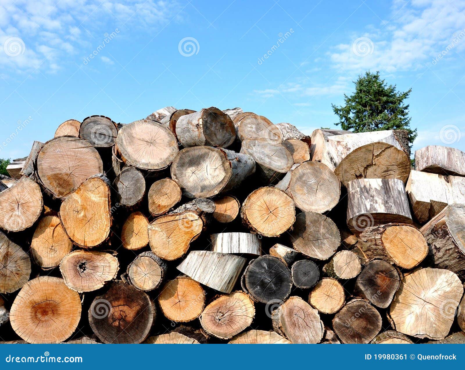 Woodpile stock image. Image of blue, trunk, clouds, environment - 19980361