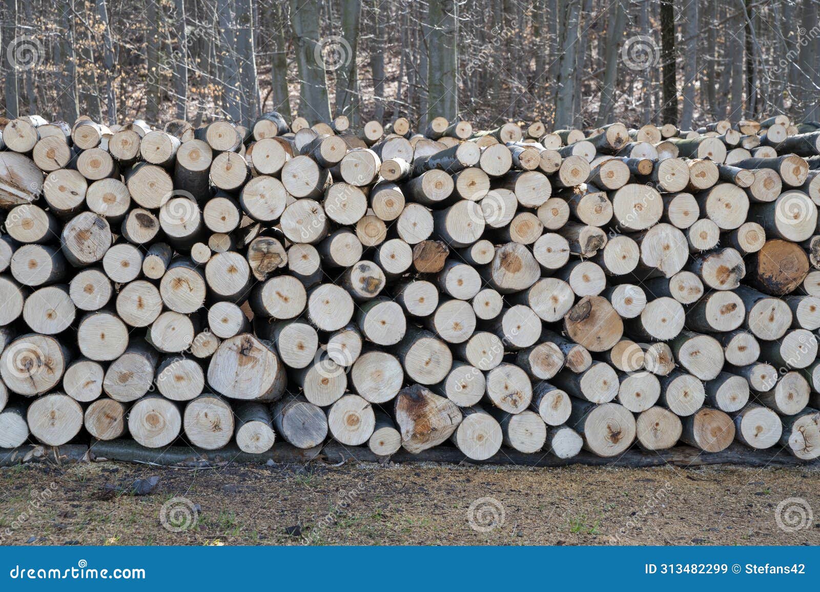 A Woodpile of Chopped Lumber in the Forest. a Big Pile of Cut Down ...