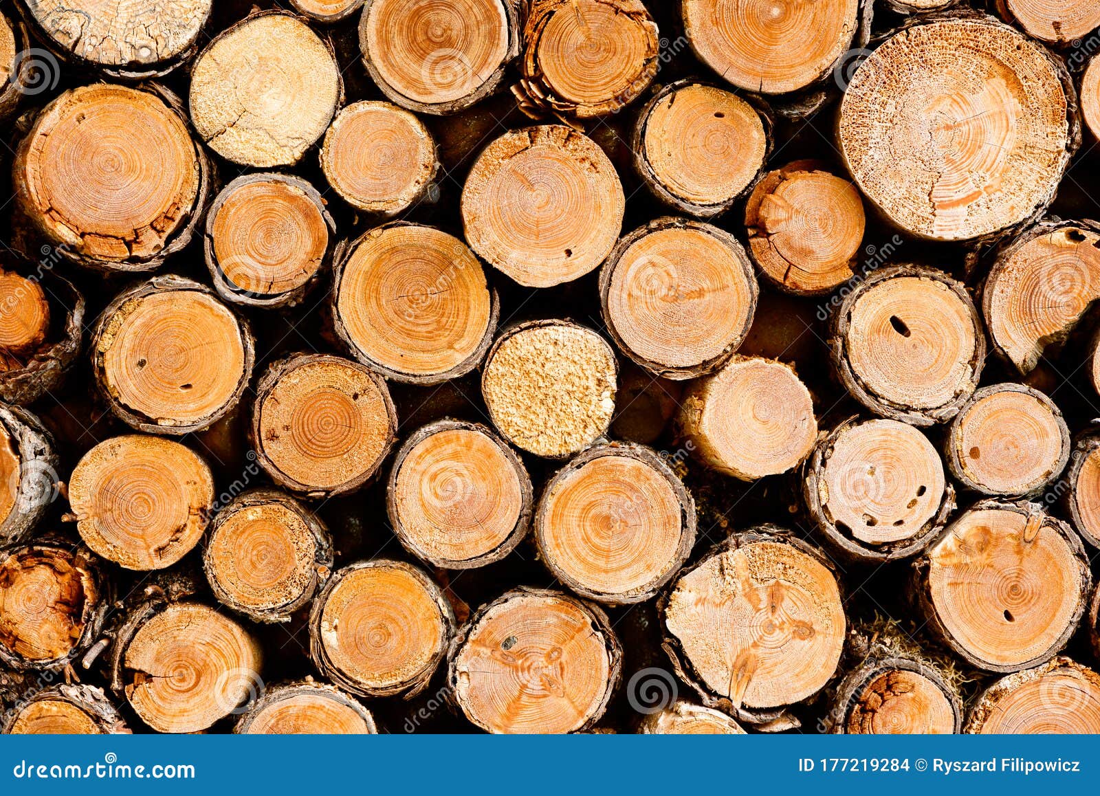 Woodpile in Stack. Circle Shape. Wall of Firewood Stock Photo - Image ...