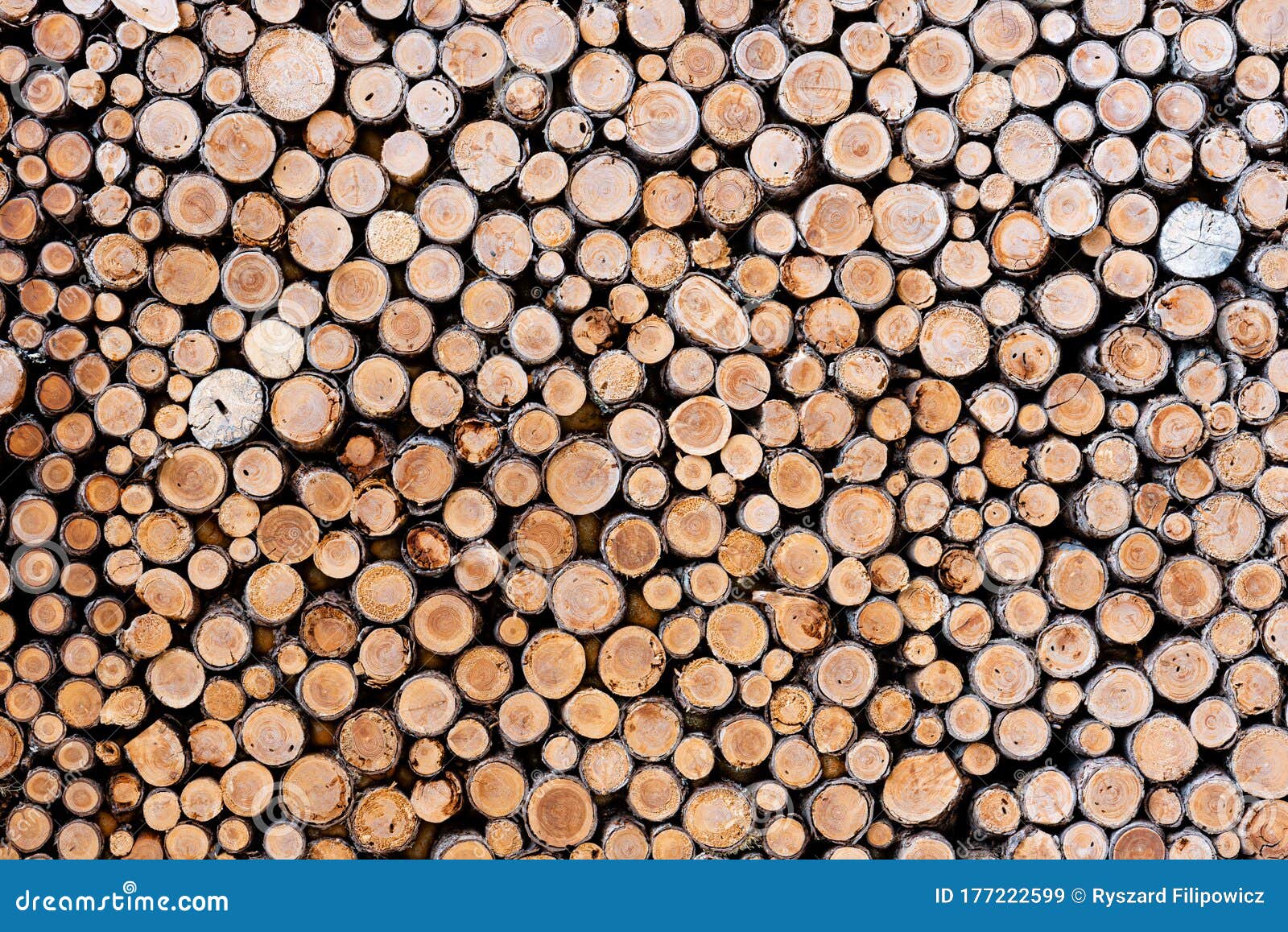 Woodpile in Stack. Circle Shape Stock Image - Image of natural, outdoor ...