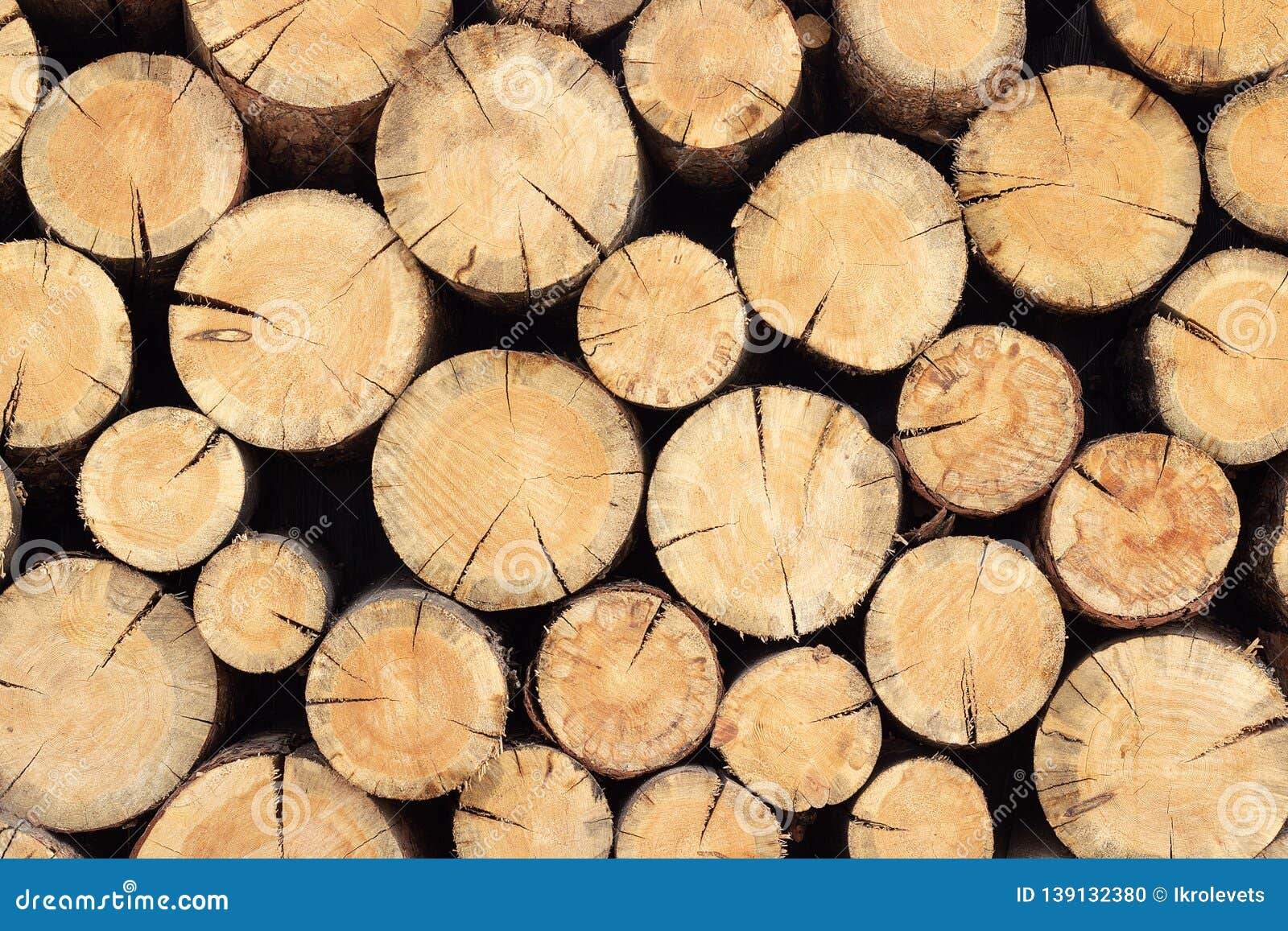 Woodpile Stack of Round Logs of Trees, Abstract Background Texture for ...