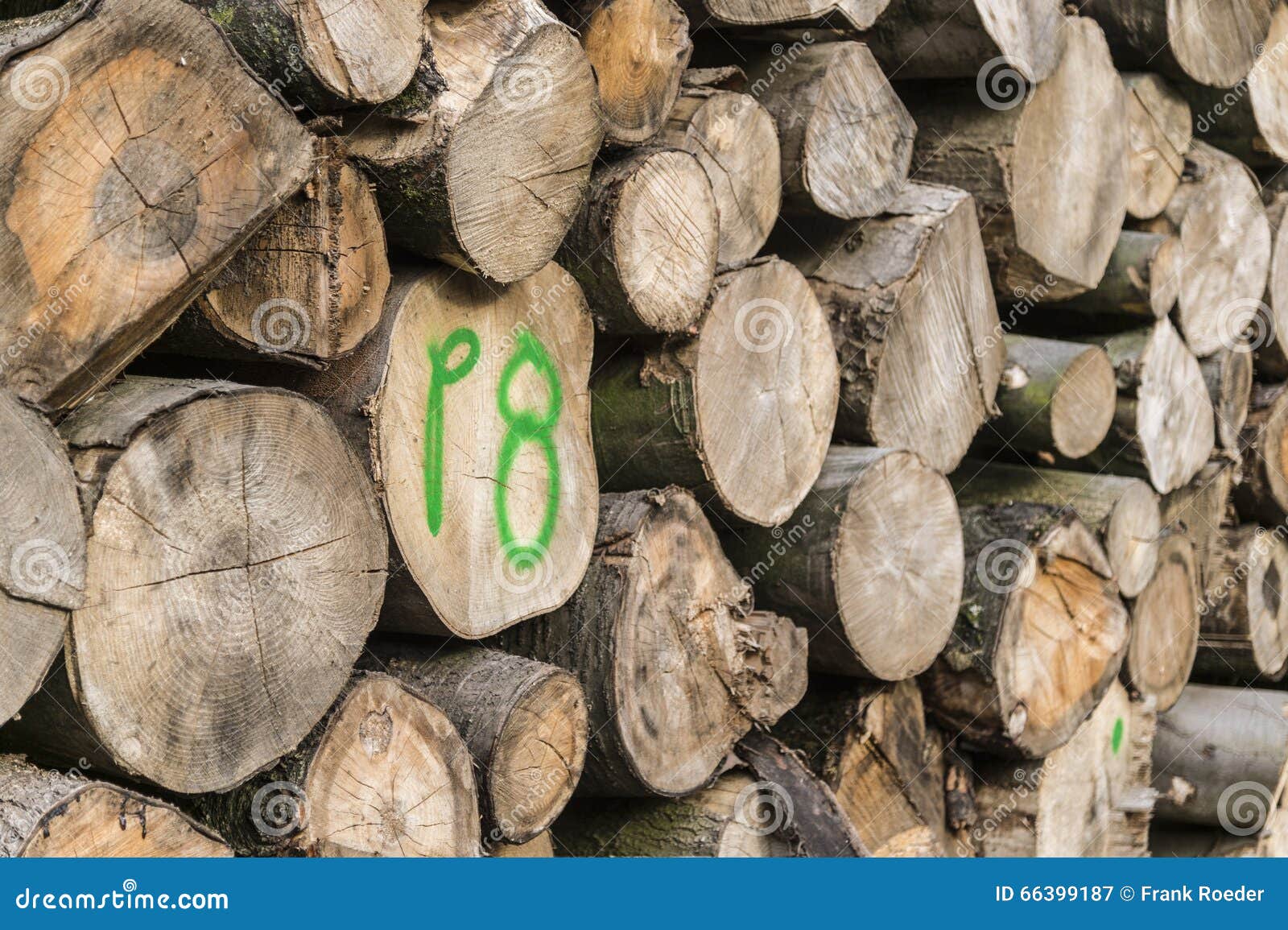 Woodpile stock image. Image of sunshine, logs, wood, stacked - 66399187