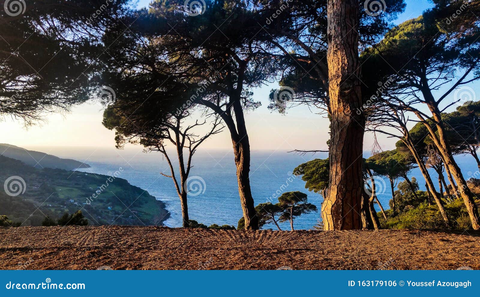 Landscape Forest in Perdicaris Park Tangier Stock Photo - Image of ...