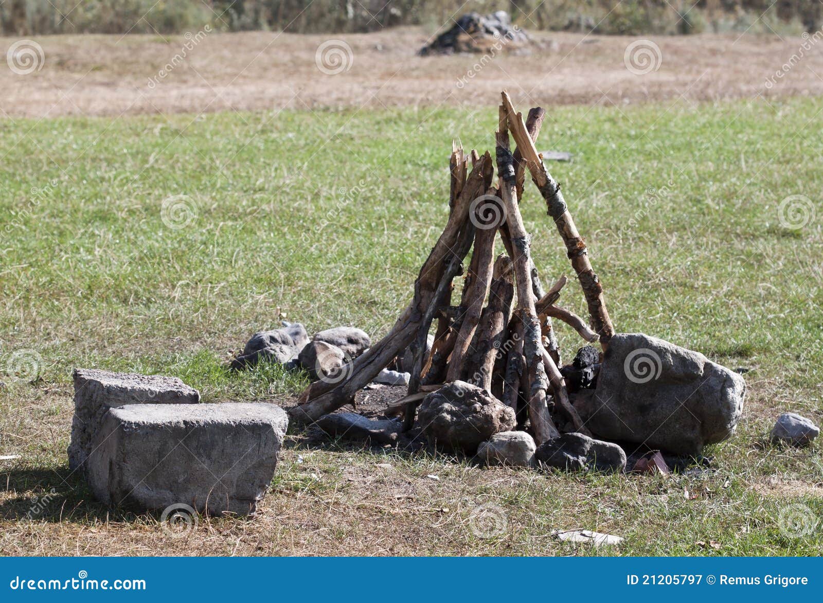 Woods for Campfire - RAW Format Stock Image - Image of environment ...