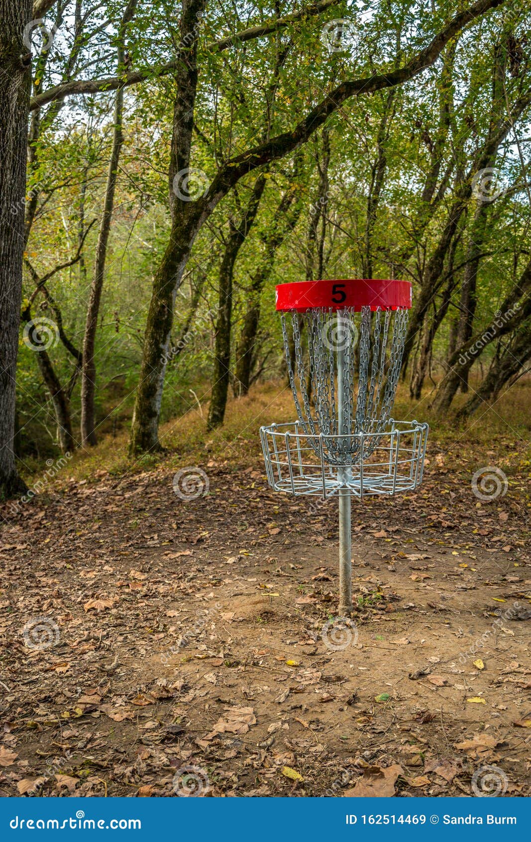 Disc golf basket stock image. Image of championships - 162514469