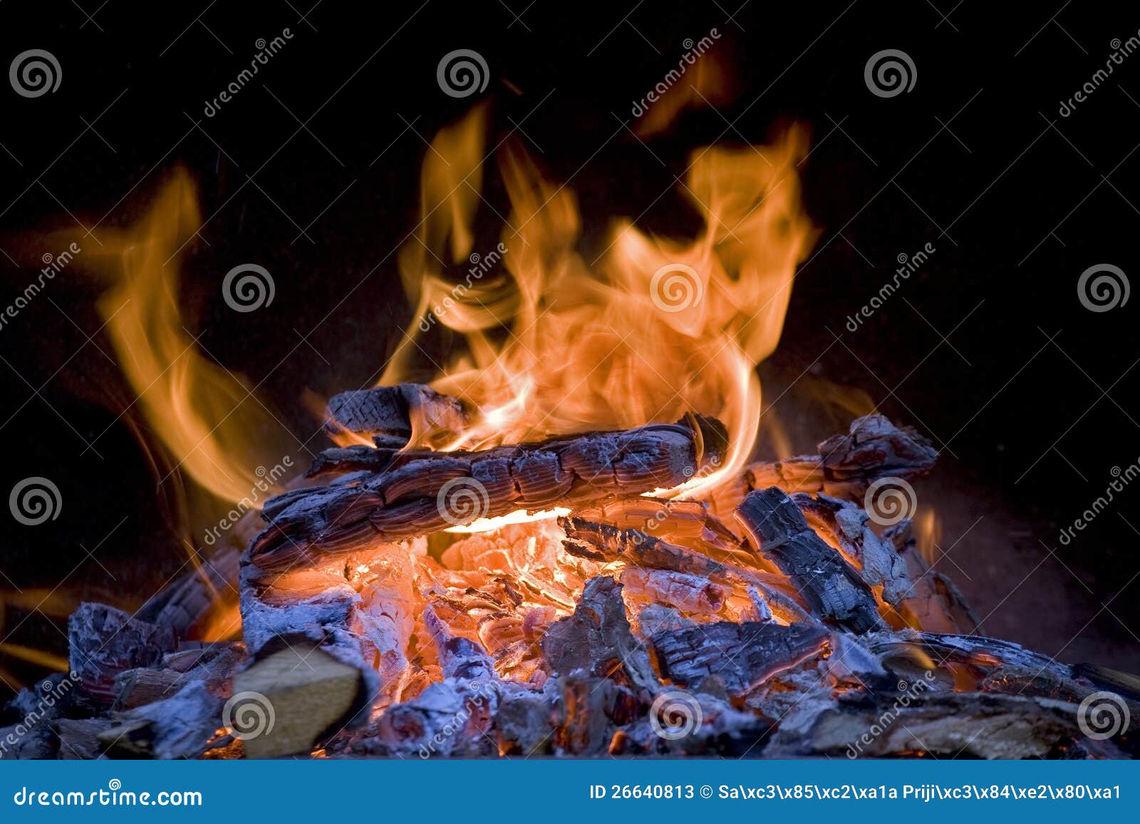 Woods on fire stock image. Image of background, embers - 26640813