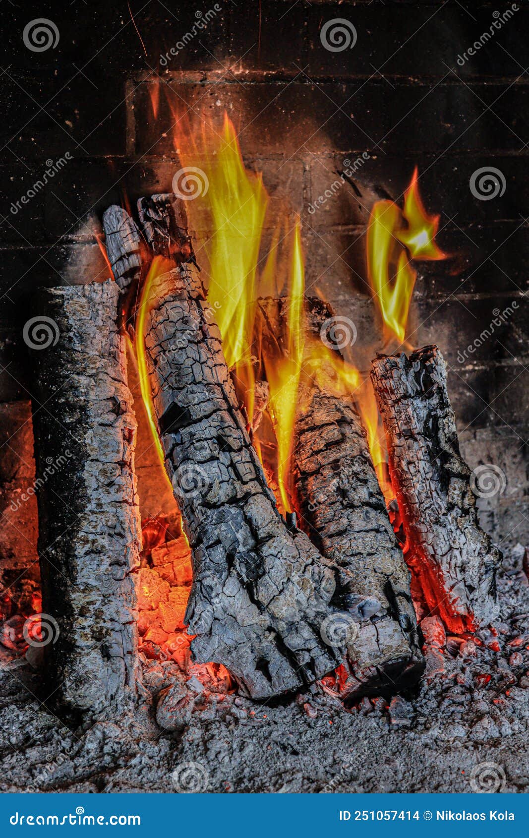 Woods getting burned stock photo. Image of autumn, burned - 251057414