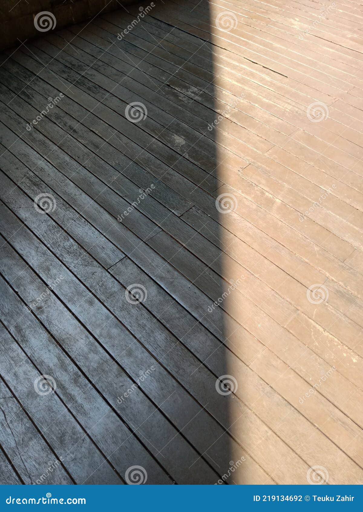 Woods half shadow stock photo. Image of brown, wall - 219134692