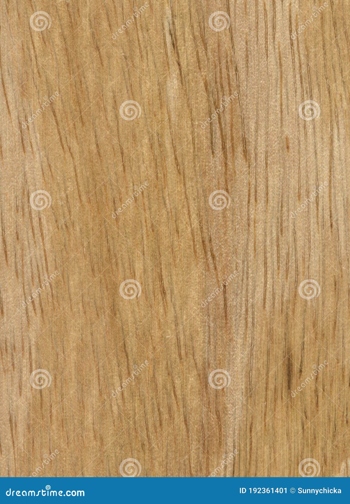 Wood Tree Exotic Pattern Asia Samples Natural Stock Image - Image of ...