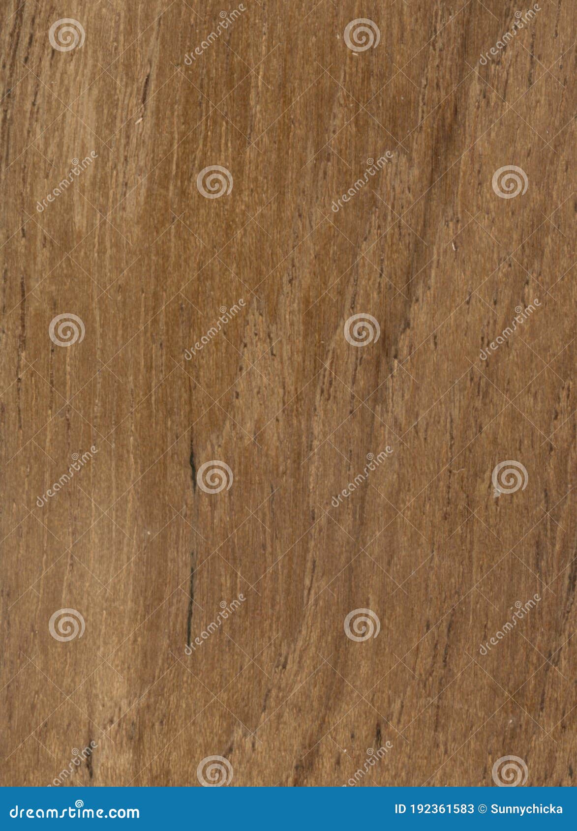 Wood Tree Exotic Pattern Asia Samples Natural Stock Image - Image of ...