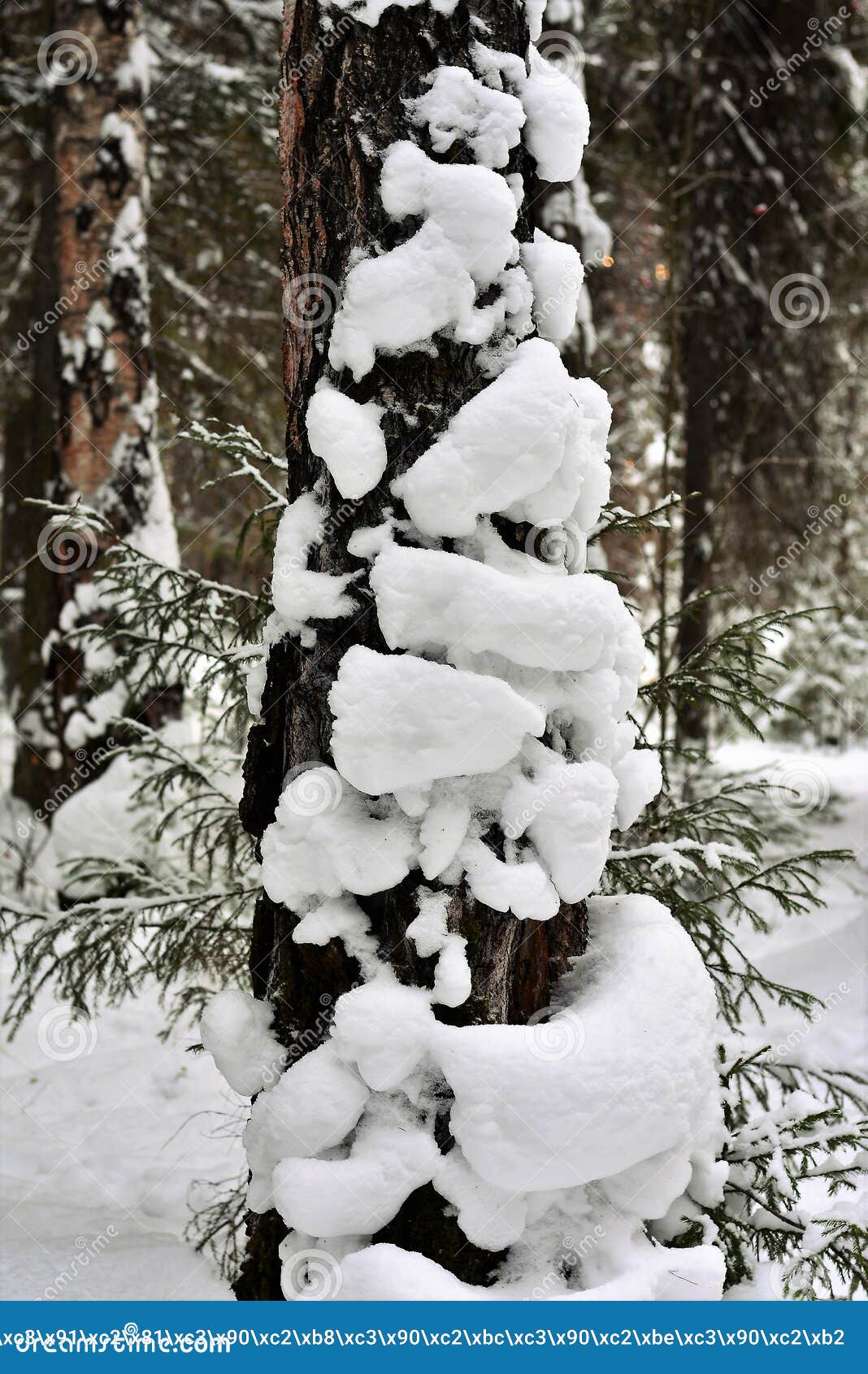 In the woods stock image. Image of blizzard, snowmen - 95079093