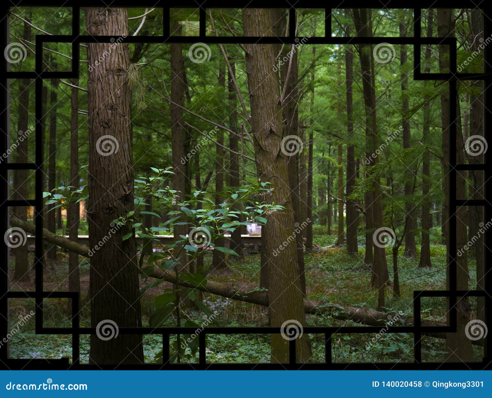 Woods outside the window stock photo. Image of leaves - 140020458