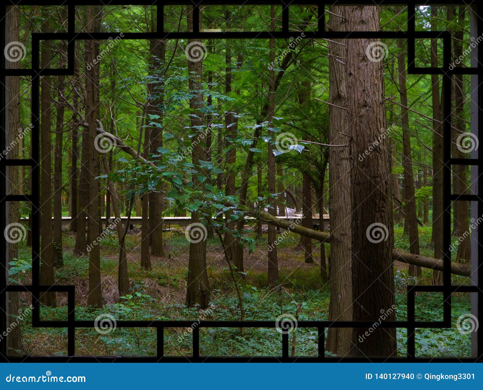 Woods outside the window stock photo. Image of tourism - 140127940