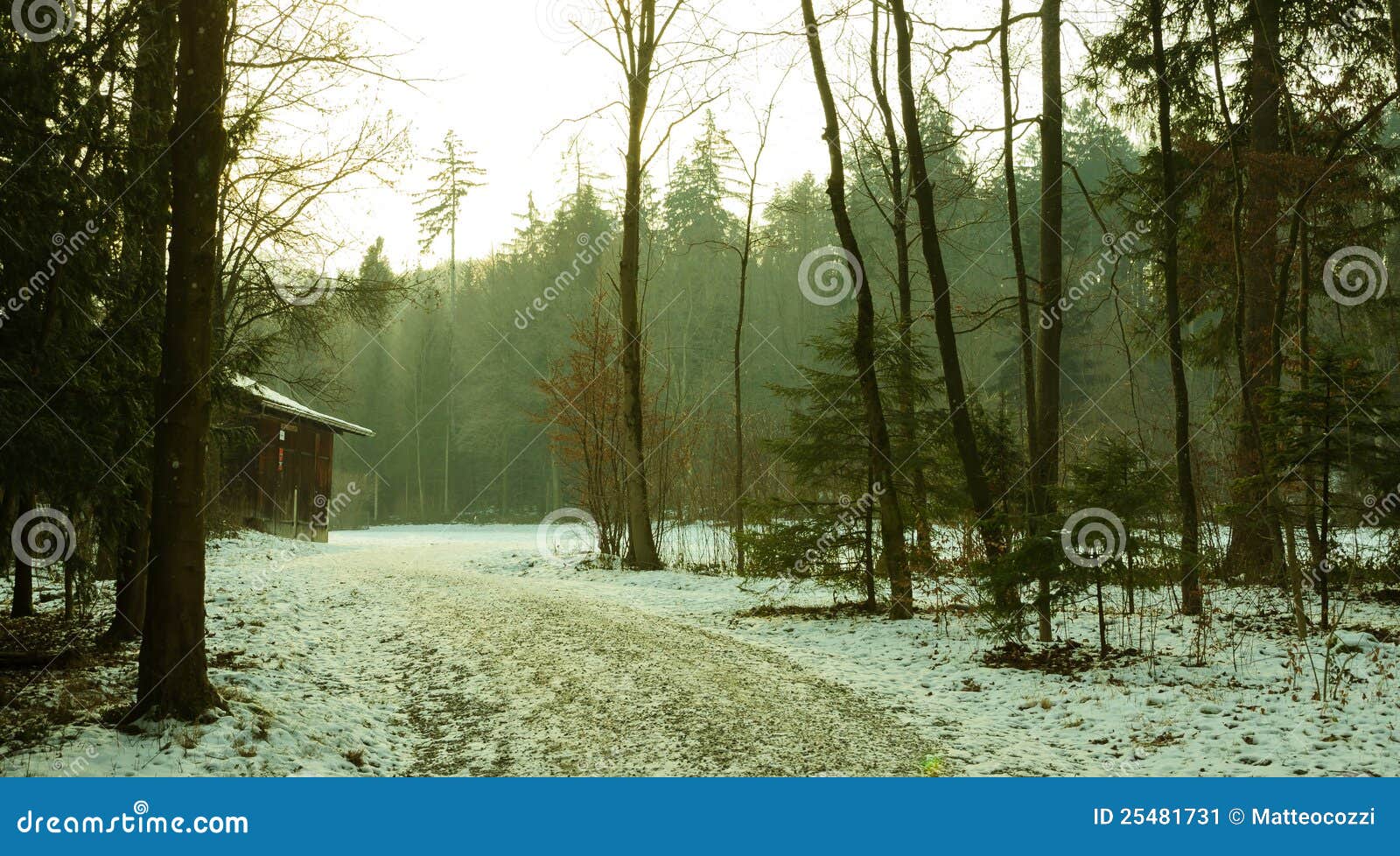 Woods path in winter. stock image. Image of serenity - 25481731