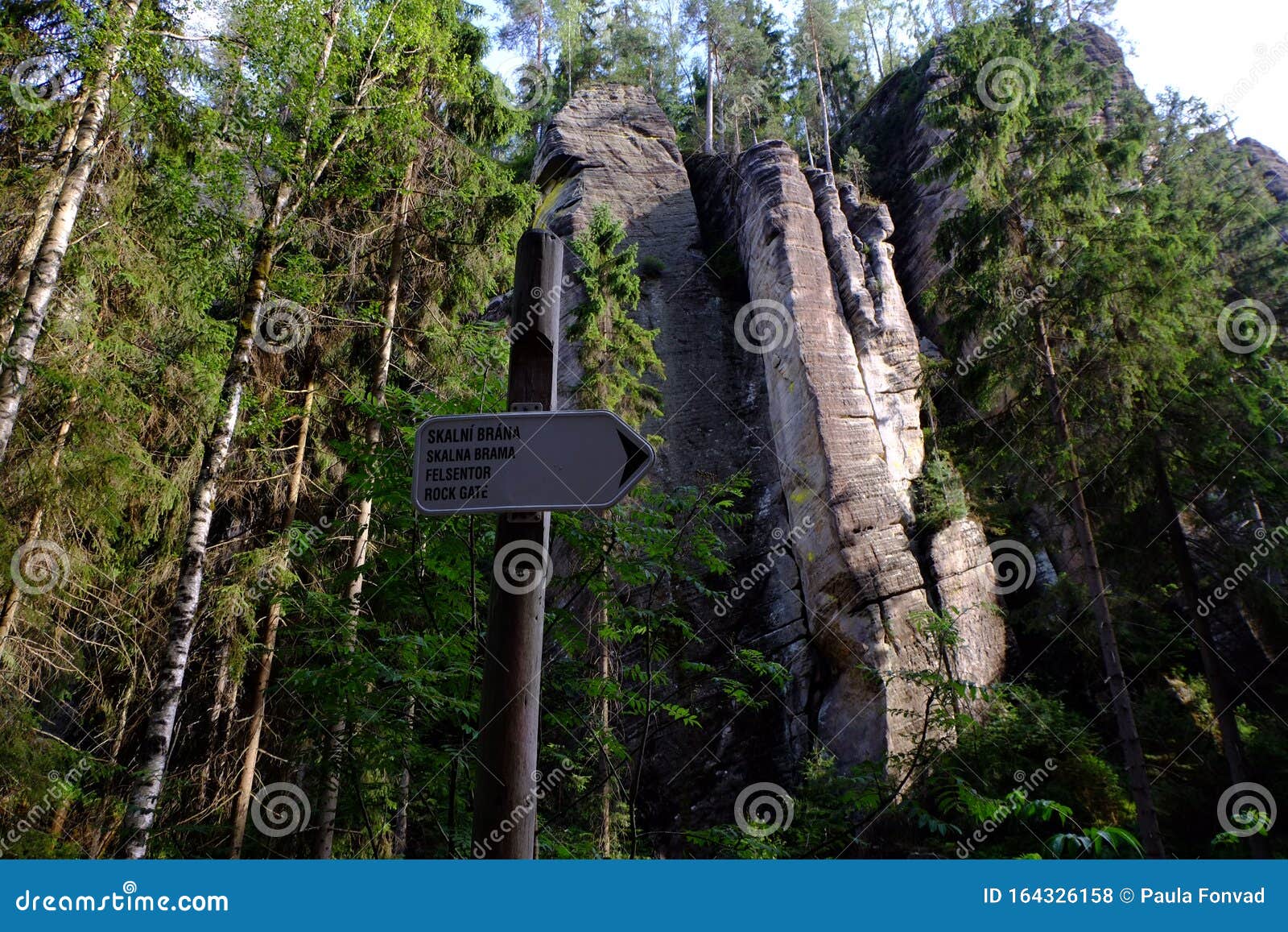 Woods and rocks stock photo. Image of woods, tree, green - 164326158