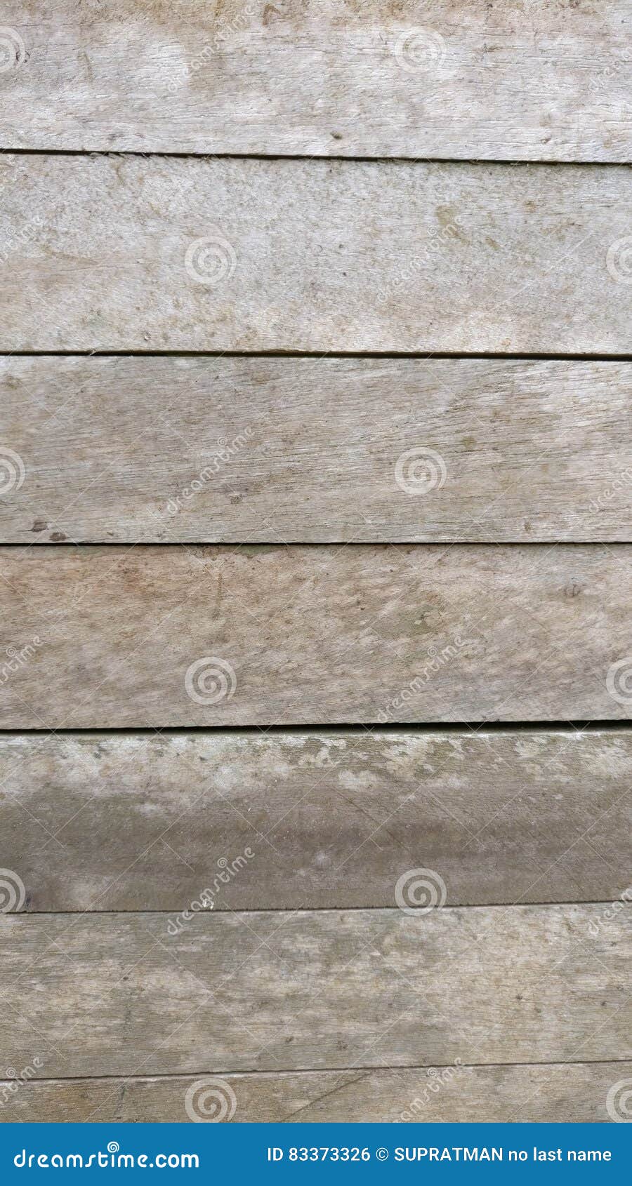 Woods wall natural color stock photo. Image of woods - 83373326