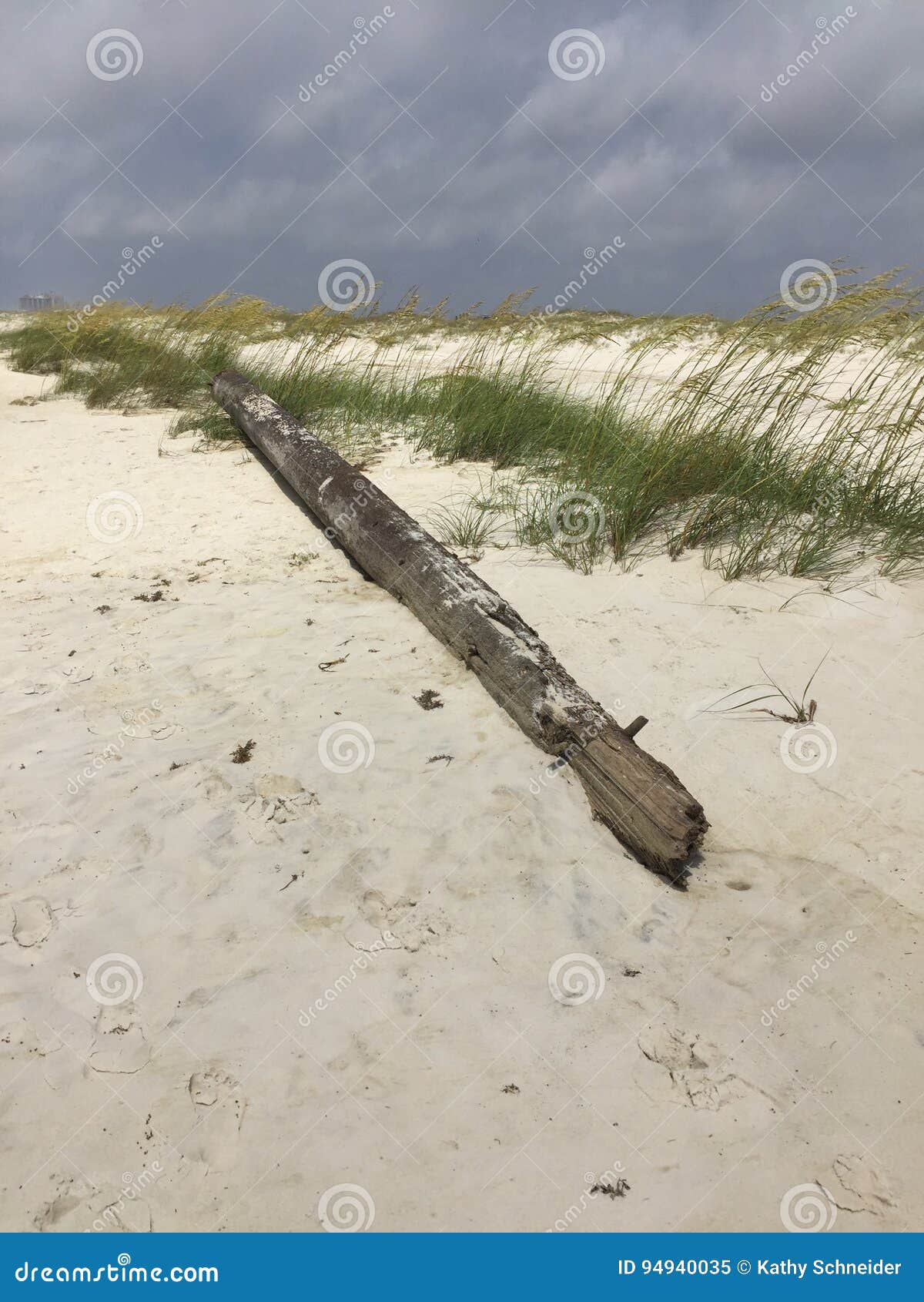 WoodSea stock image. Image of wood, beach, driftwood - 94940035